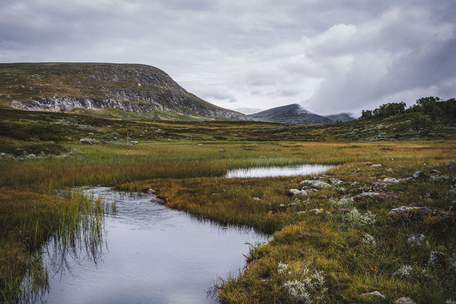 Fotograf Alison De Mars – Vålådalen