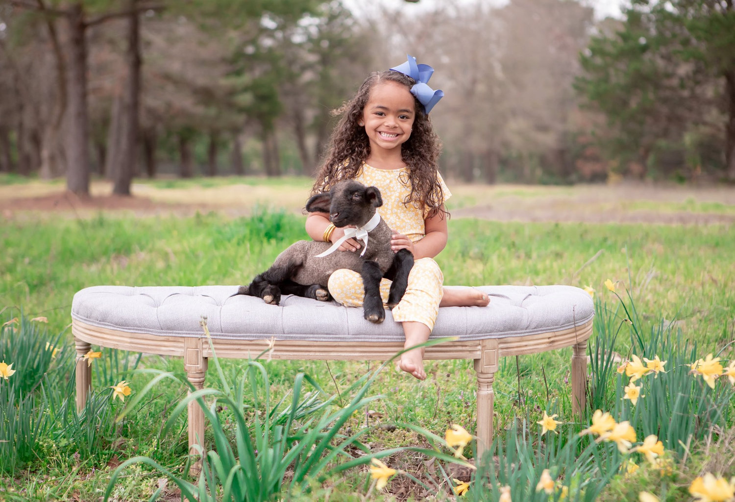 Mini Sessions - Elizabeth Thacker Photography