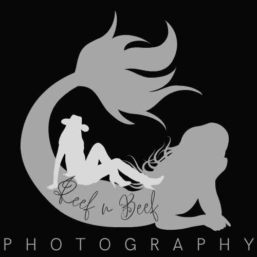 Event Galleries - Reef 'n' Beef Photography