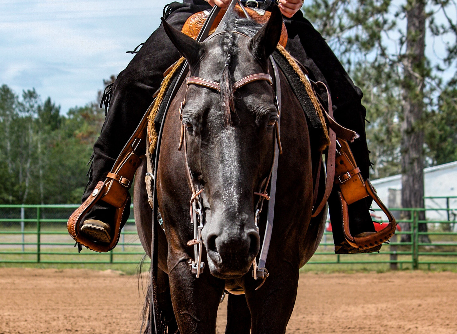 2024 Bayfield County Fair - Snix Pix Photography & Fine Art