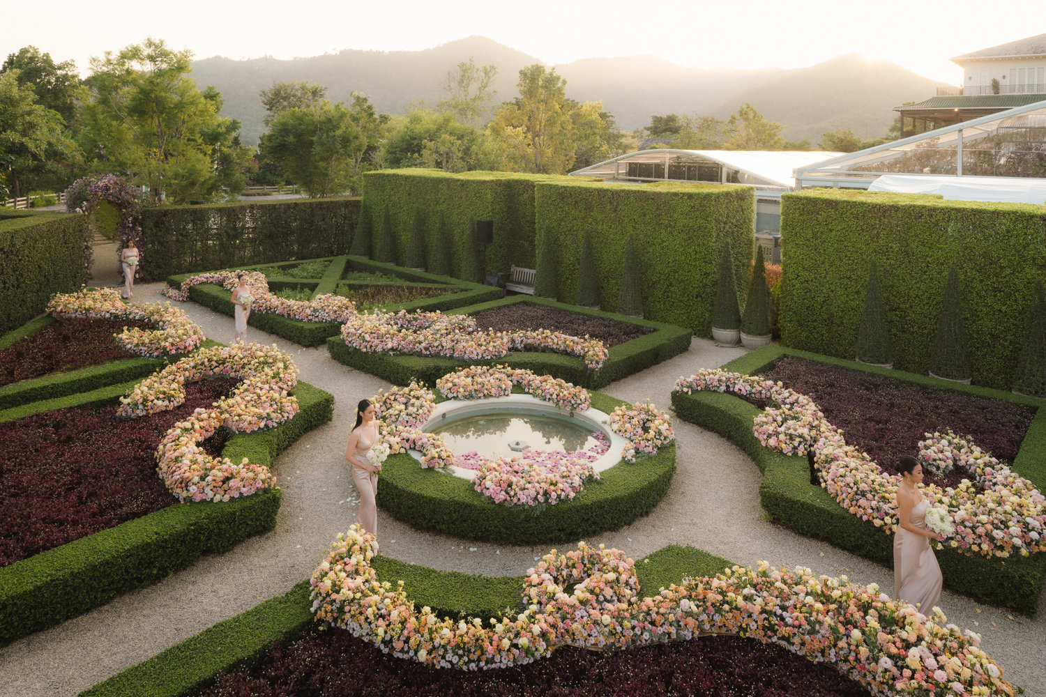 Client Area - ARTYPHOTO