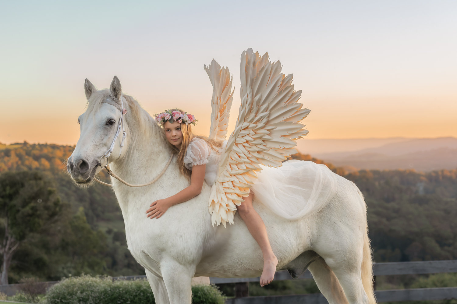 Pegasus Photoshoot Packages Sparkles and Co - Teegan Rose Photography