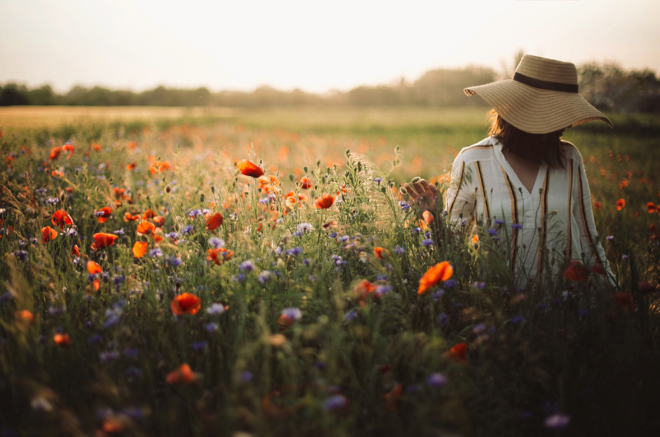 Upcoming Sessions - Laurel + Pine Photography