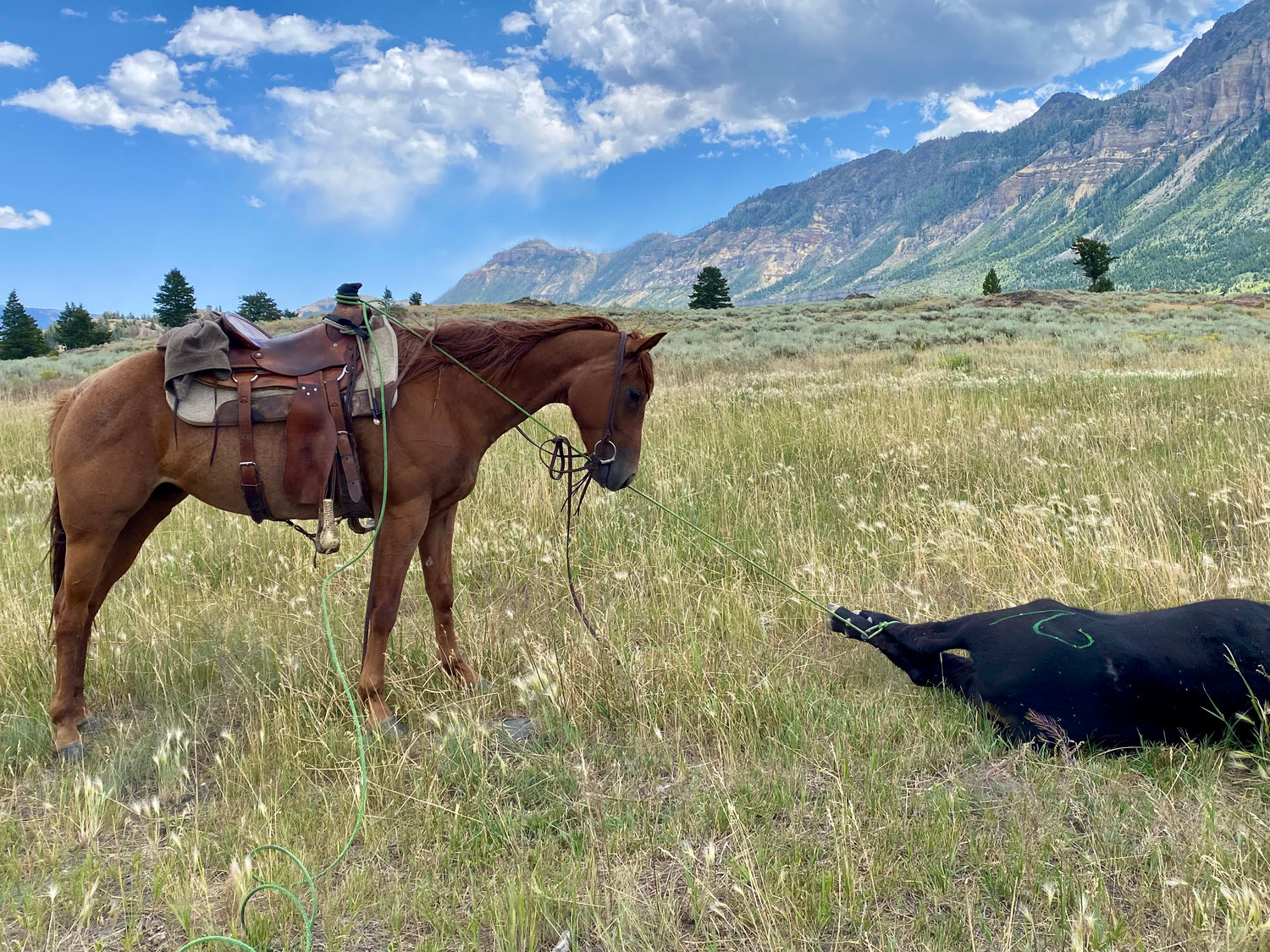 Ro Rojo River - Legend Buttes Unlimited