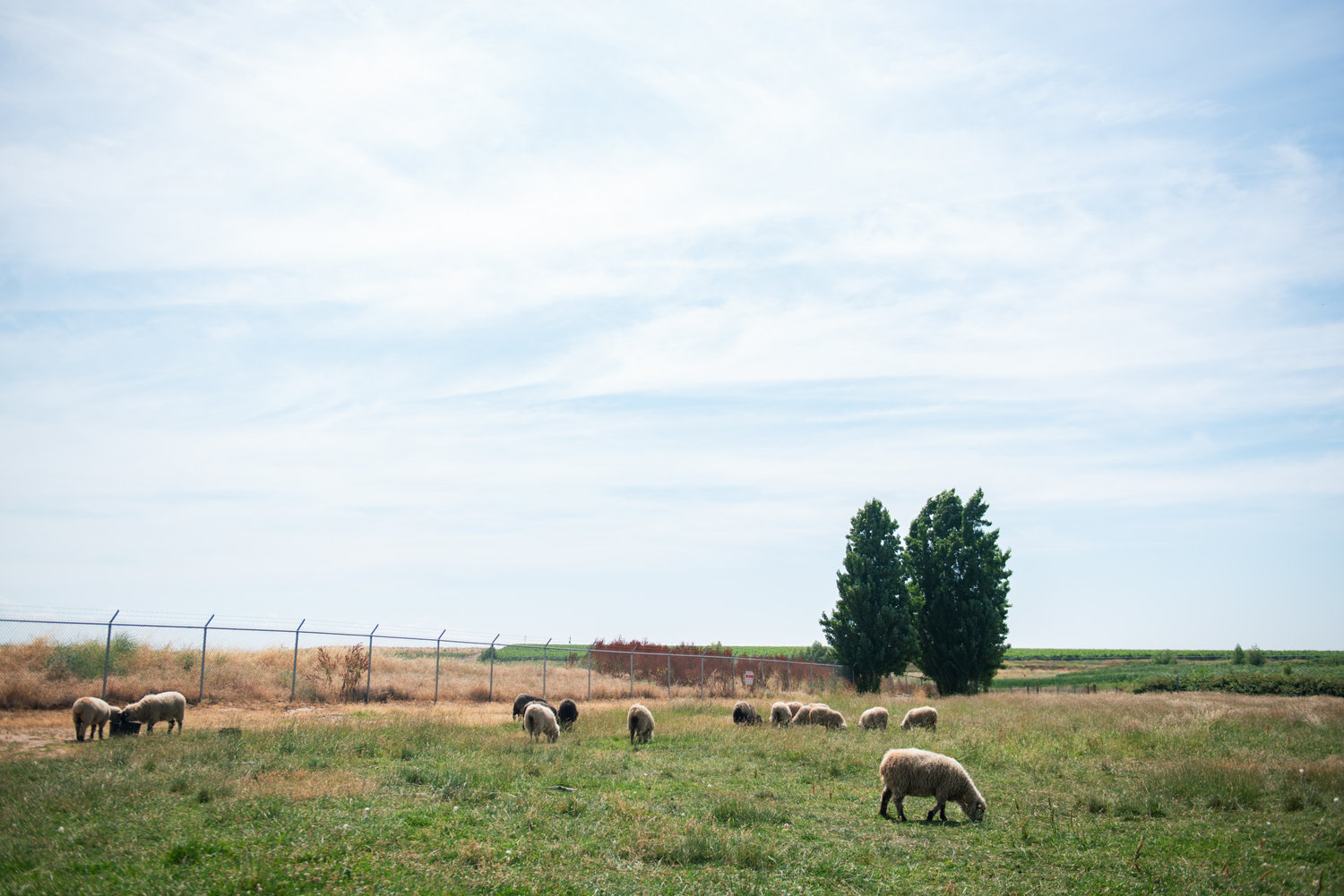 Investment - Austin Romito | Photographer, Videographer, Storyteller ...