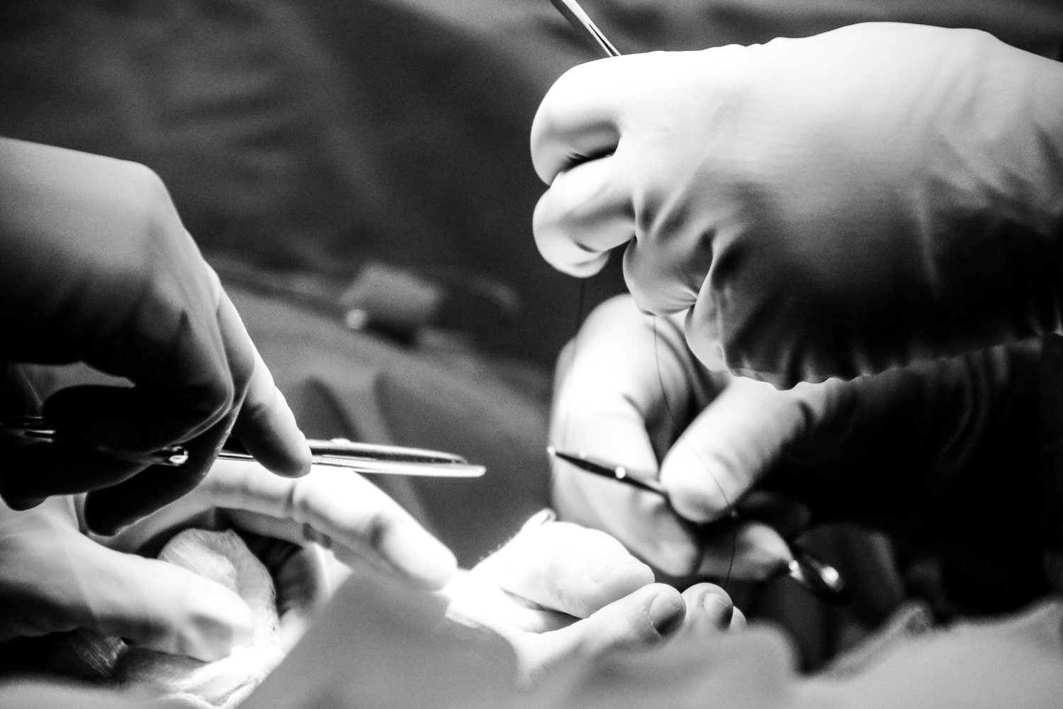 OPERATIONS - Gracie Hall Visuals