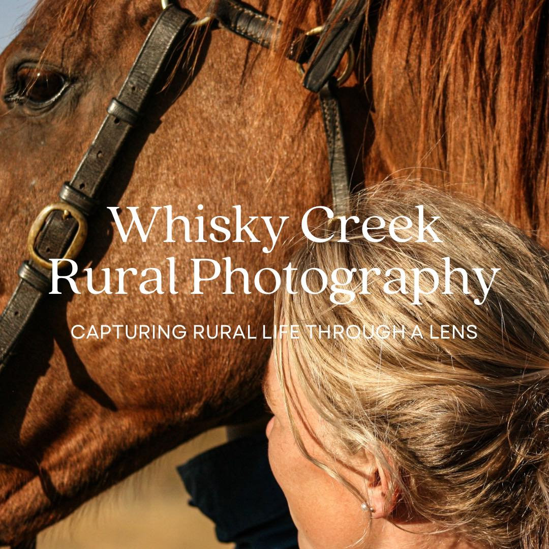 Rural Life - Whisky Creek Rural Photography