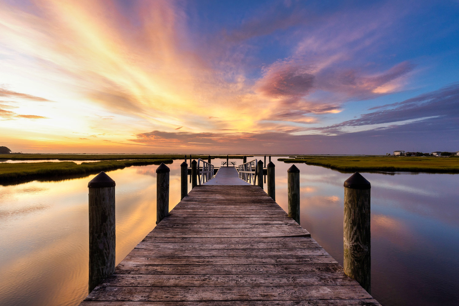 Capturing Horizons Photography