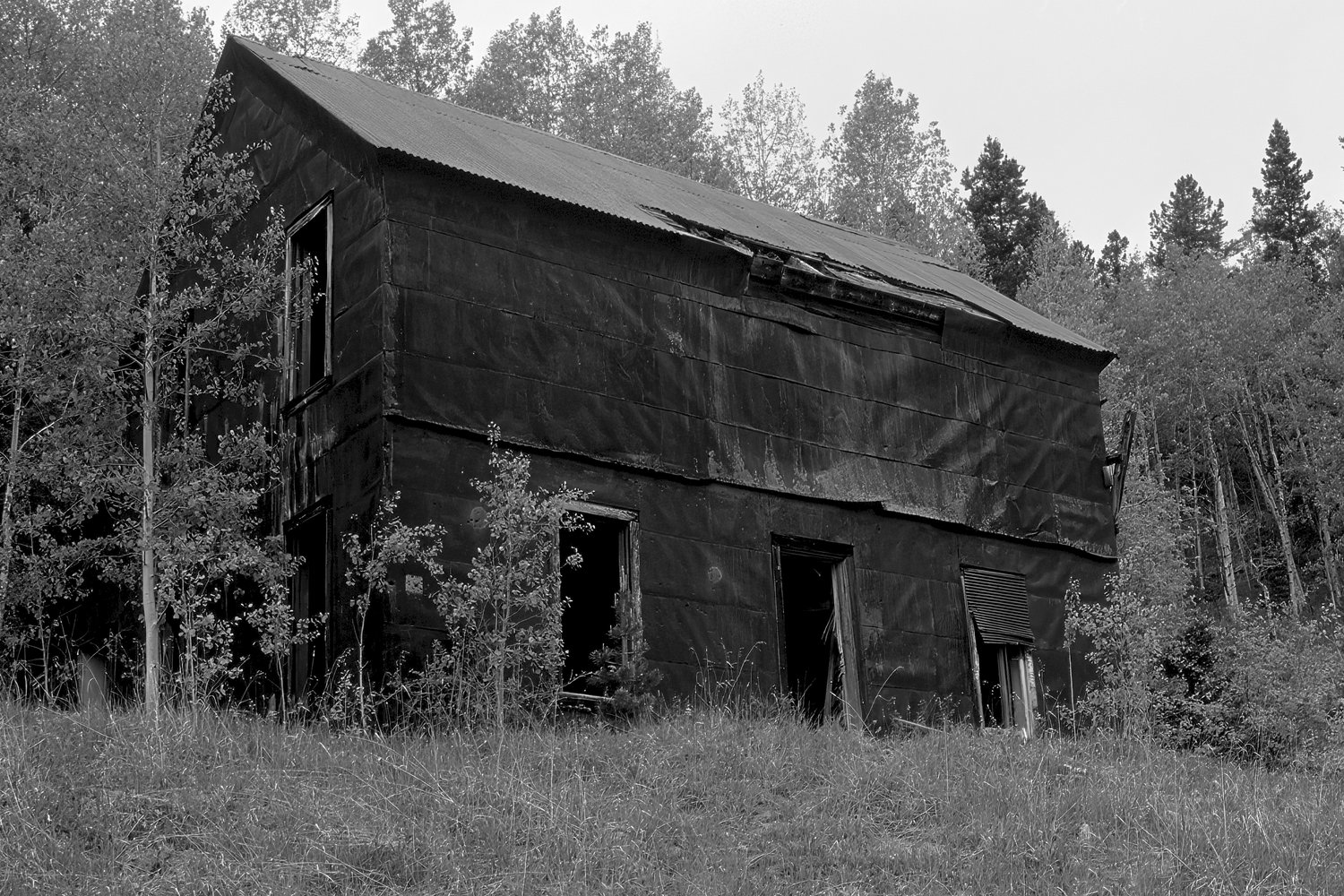 Camp Francis - Return to Timberline