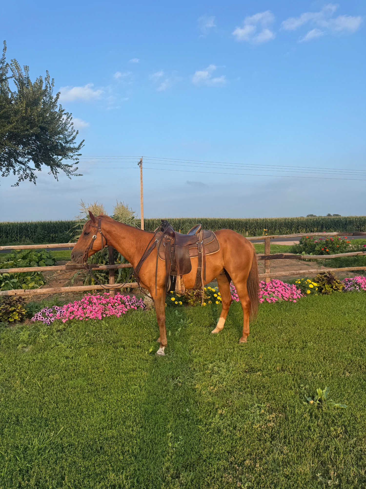 Slim - Legend Buttes Unlimited