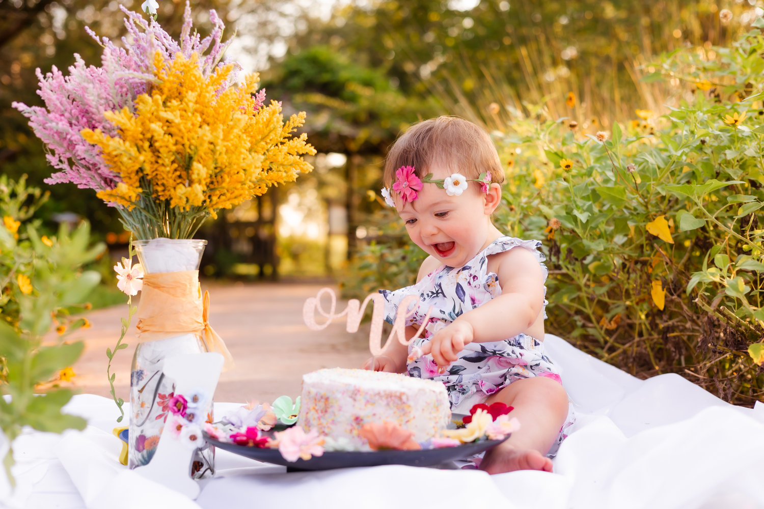 Celebrations - SMO Photography LLC
