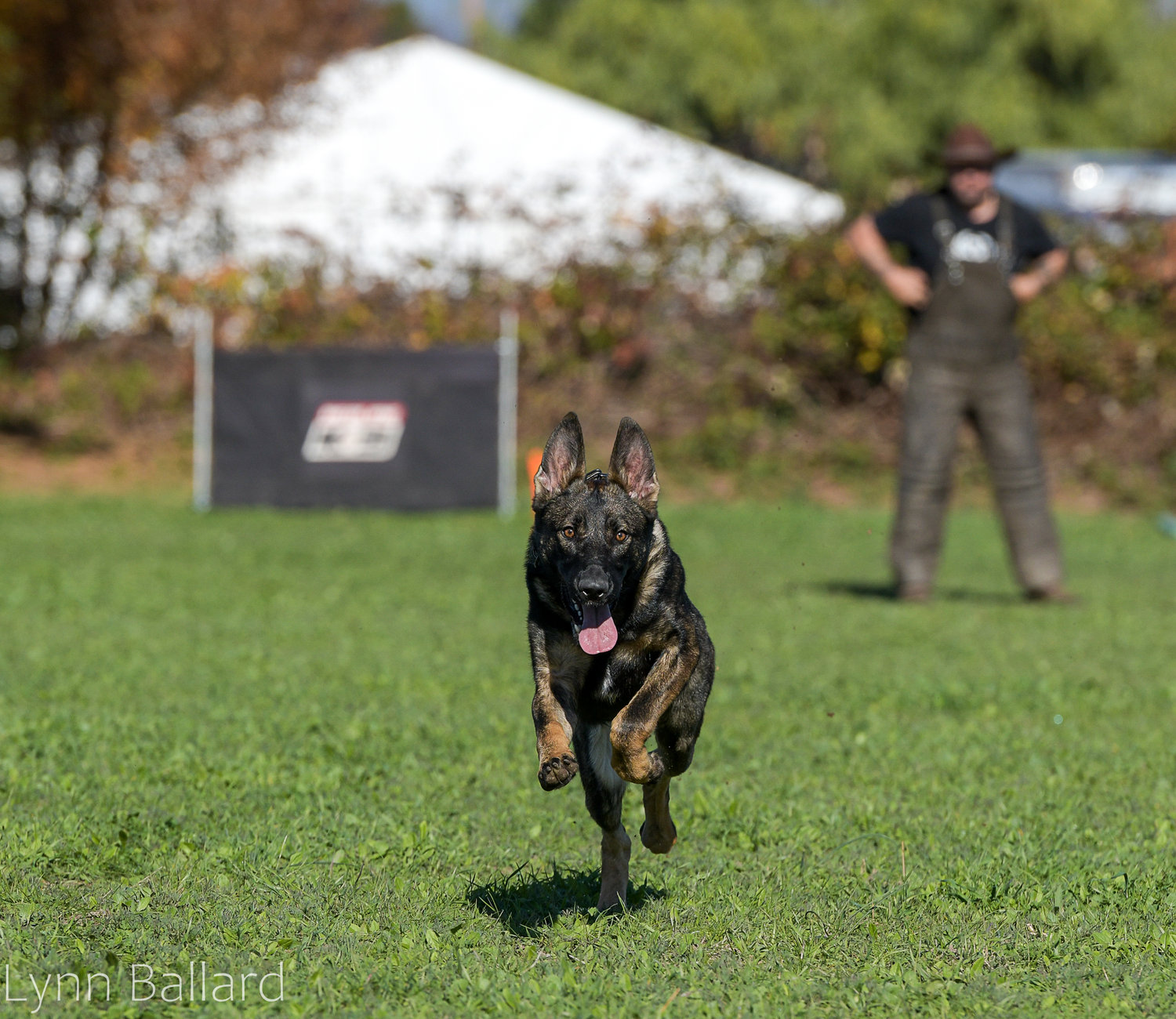 Lynn Ballard Photography