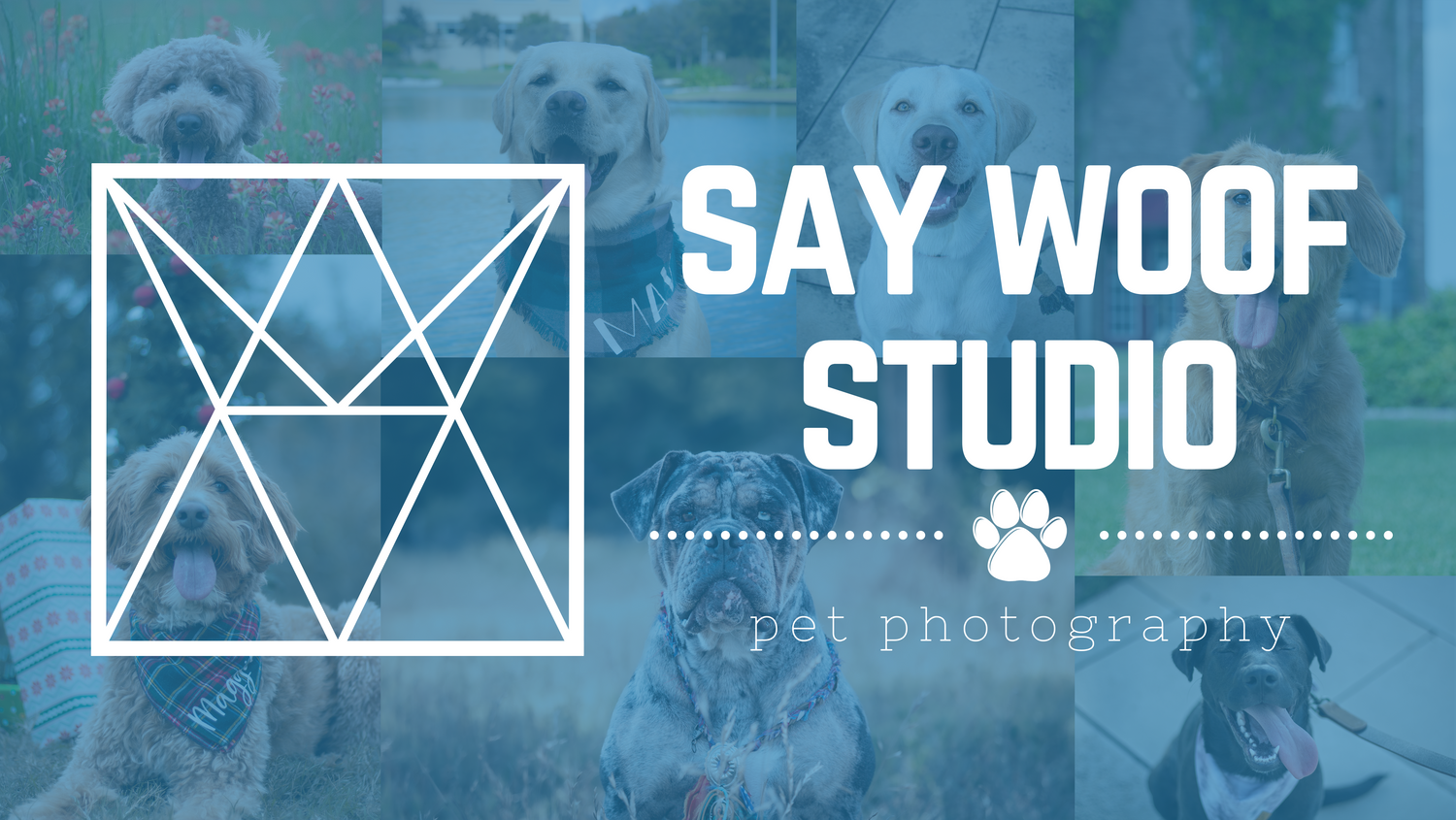 Say Woof Studio