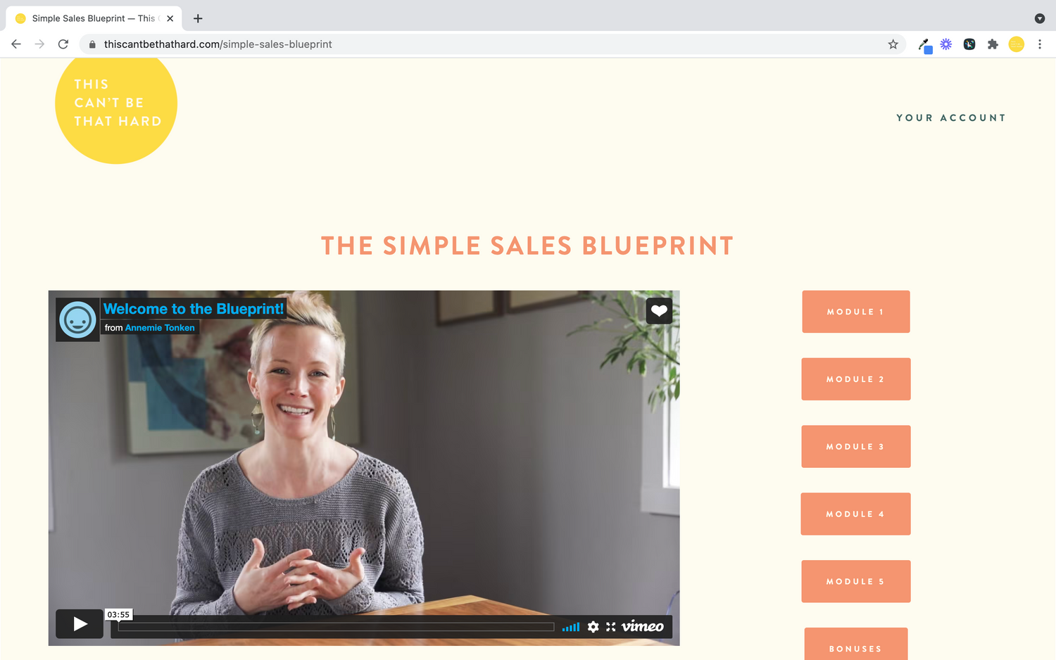 A Review of the Simple Sales System Blueprint: How Switching from All ...