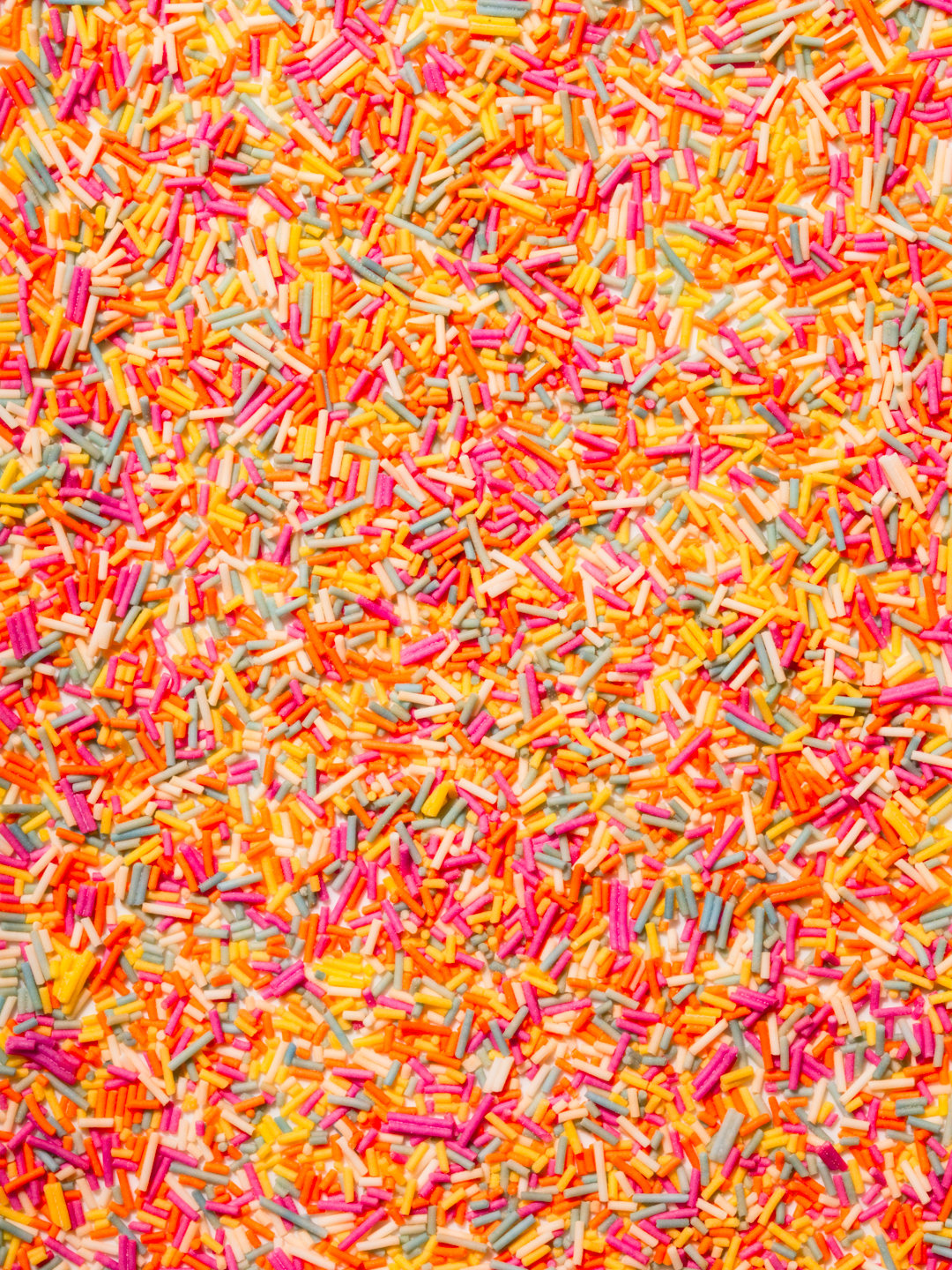 Projects, commissions + news - Nancy Anne Photography