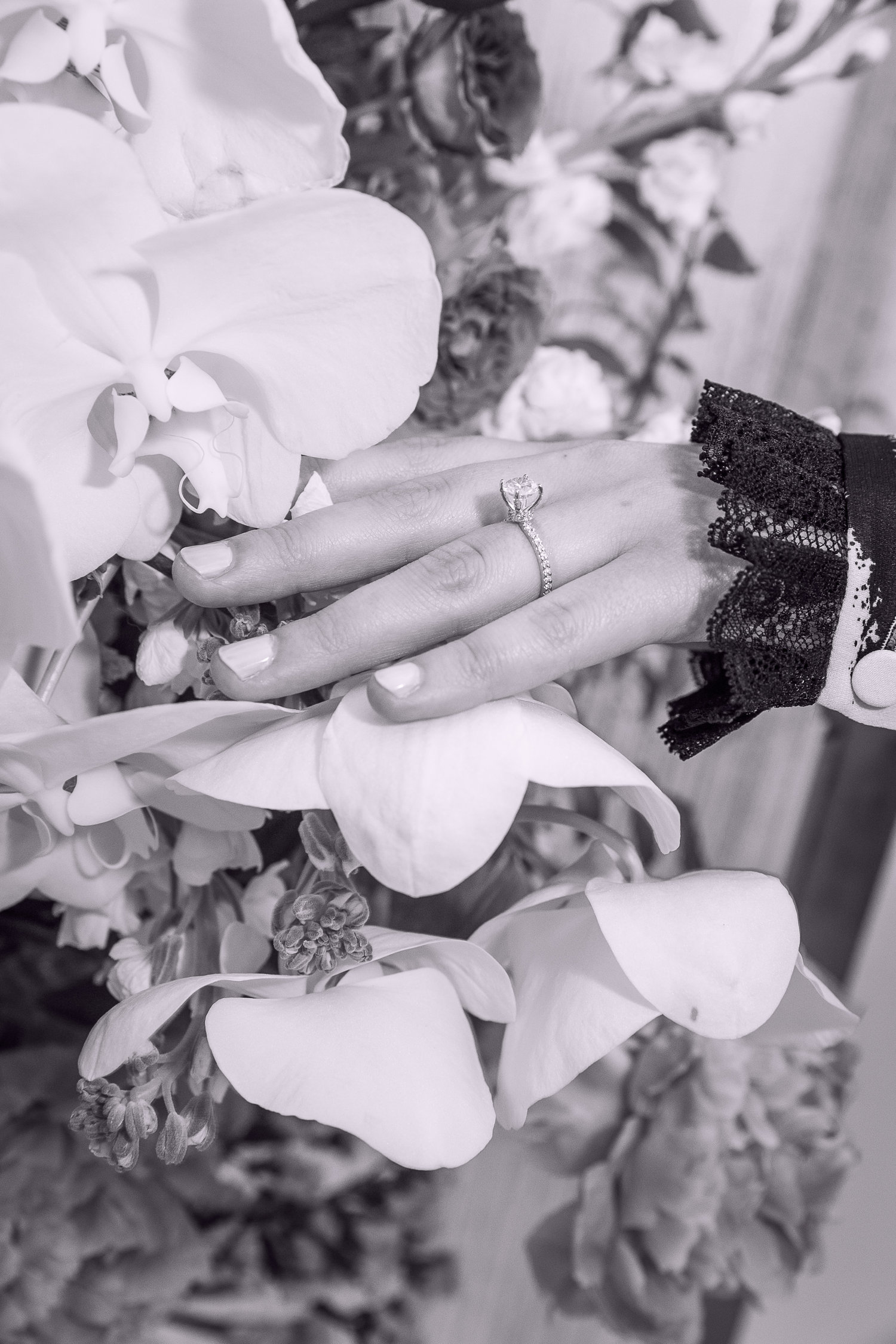 Book Events | Gitty Schulman Photography Lakewood NJ - Lakewood NJ ...