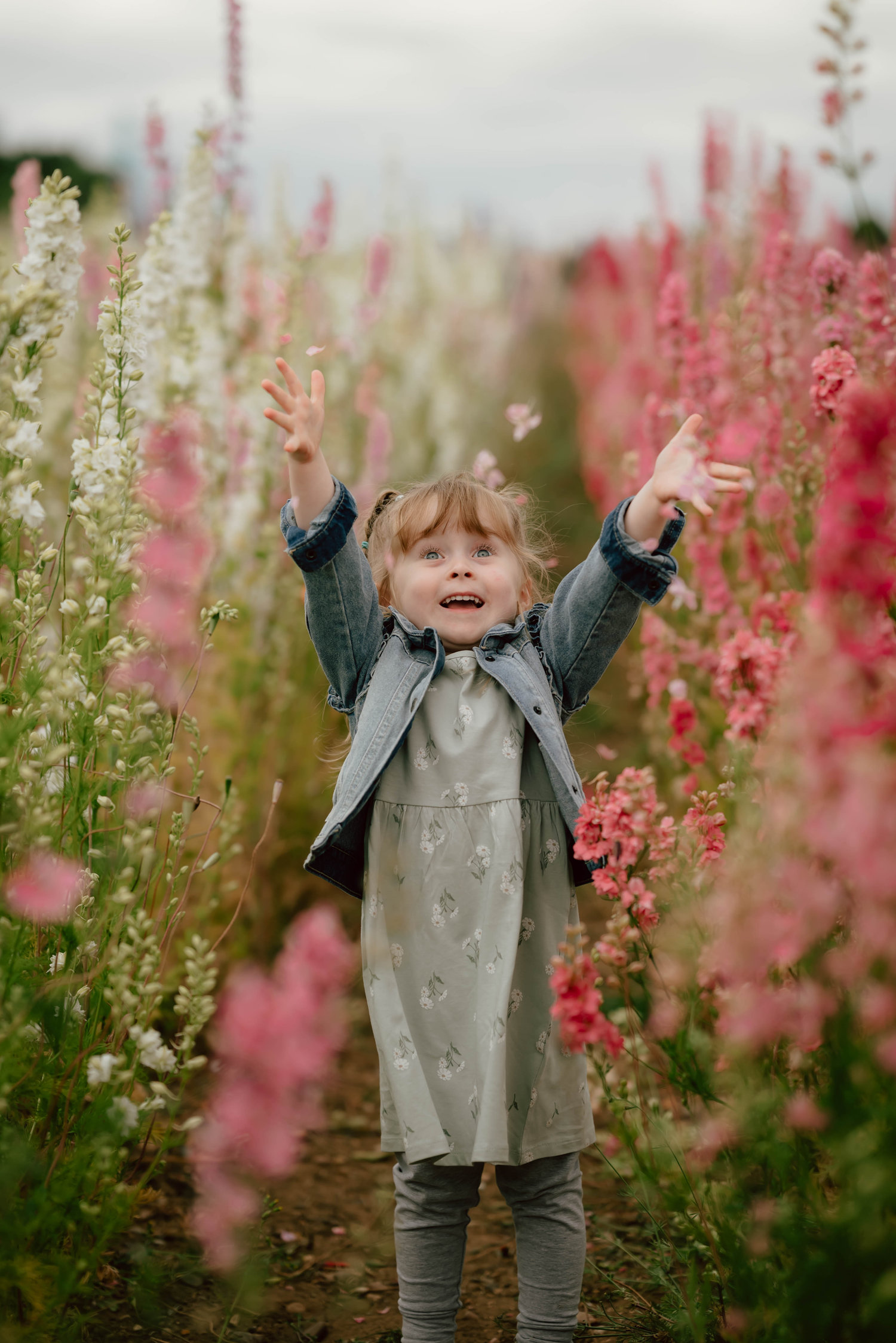 Confetti field minishoots in Pershore, Worcestershire - Woodhouse ...