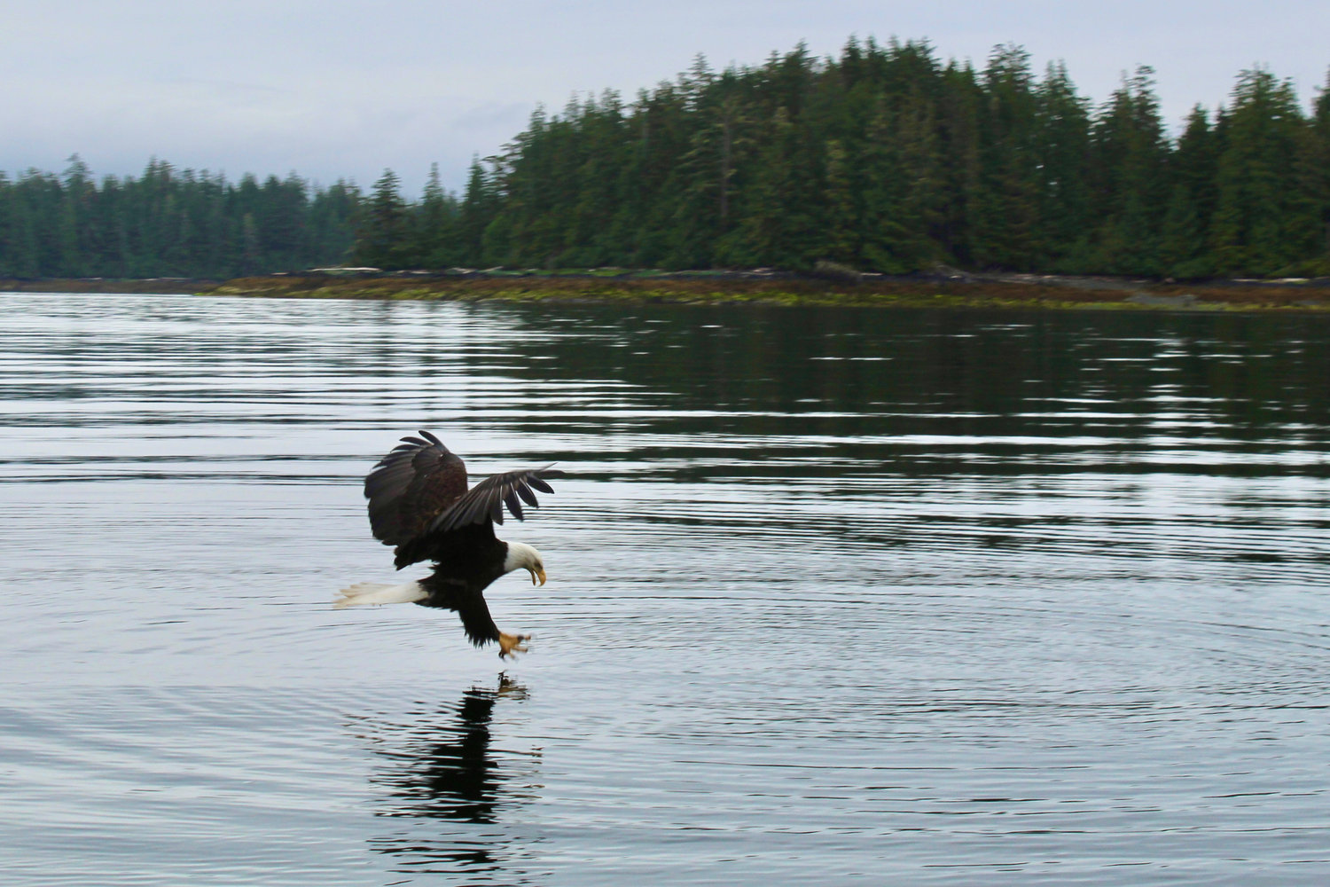 CHU Photographs, LLC