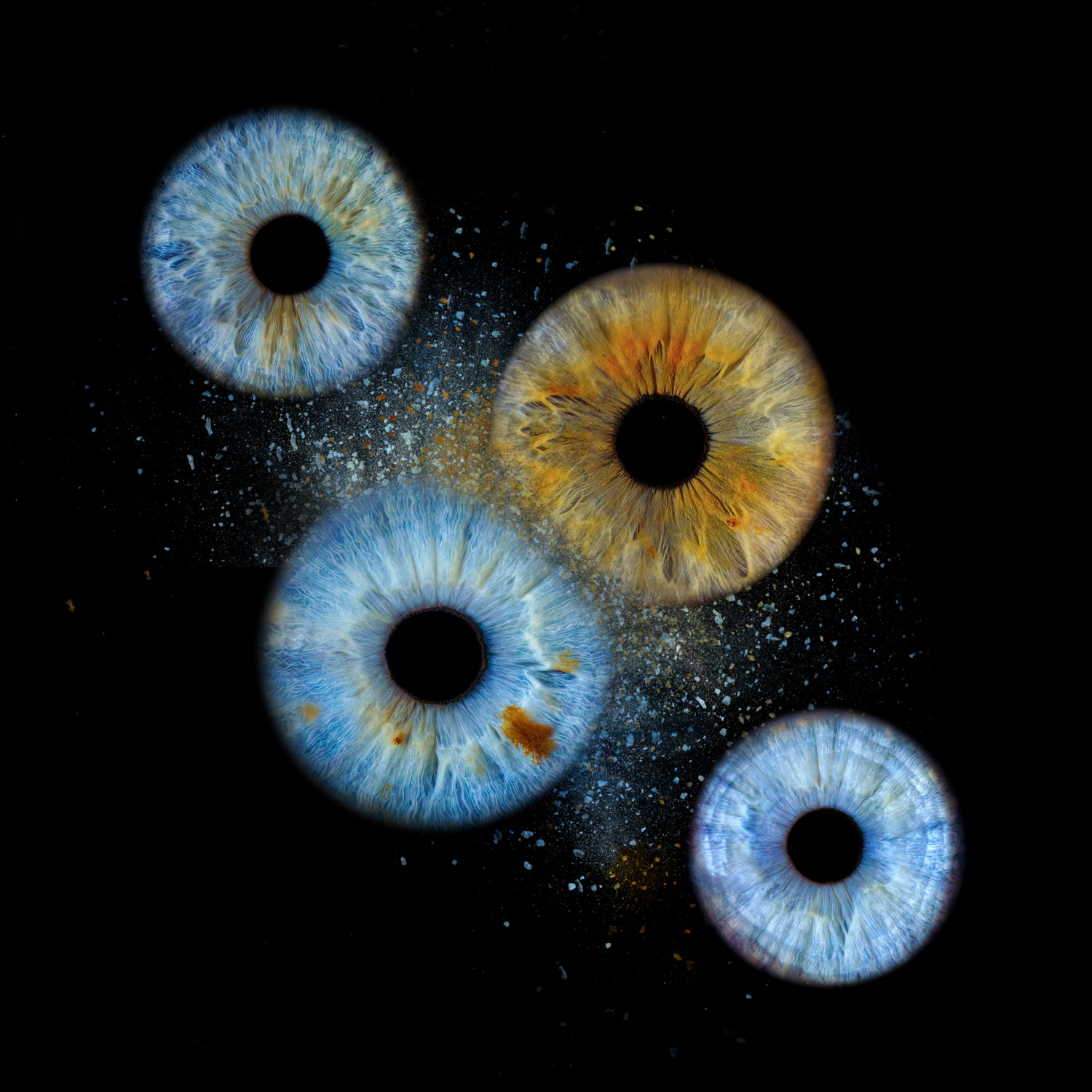 Family Iris Collages - Utah Iris Photographer