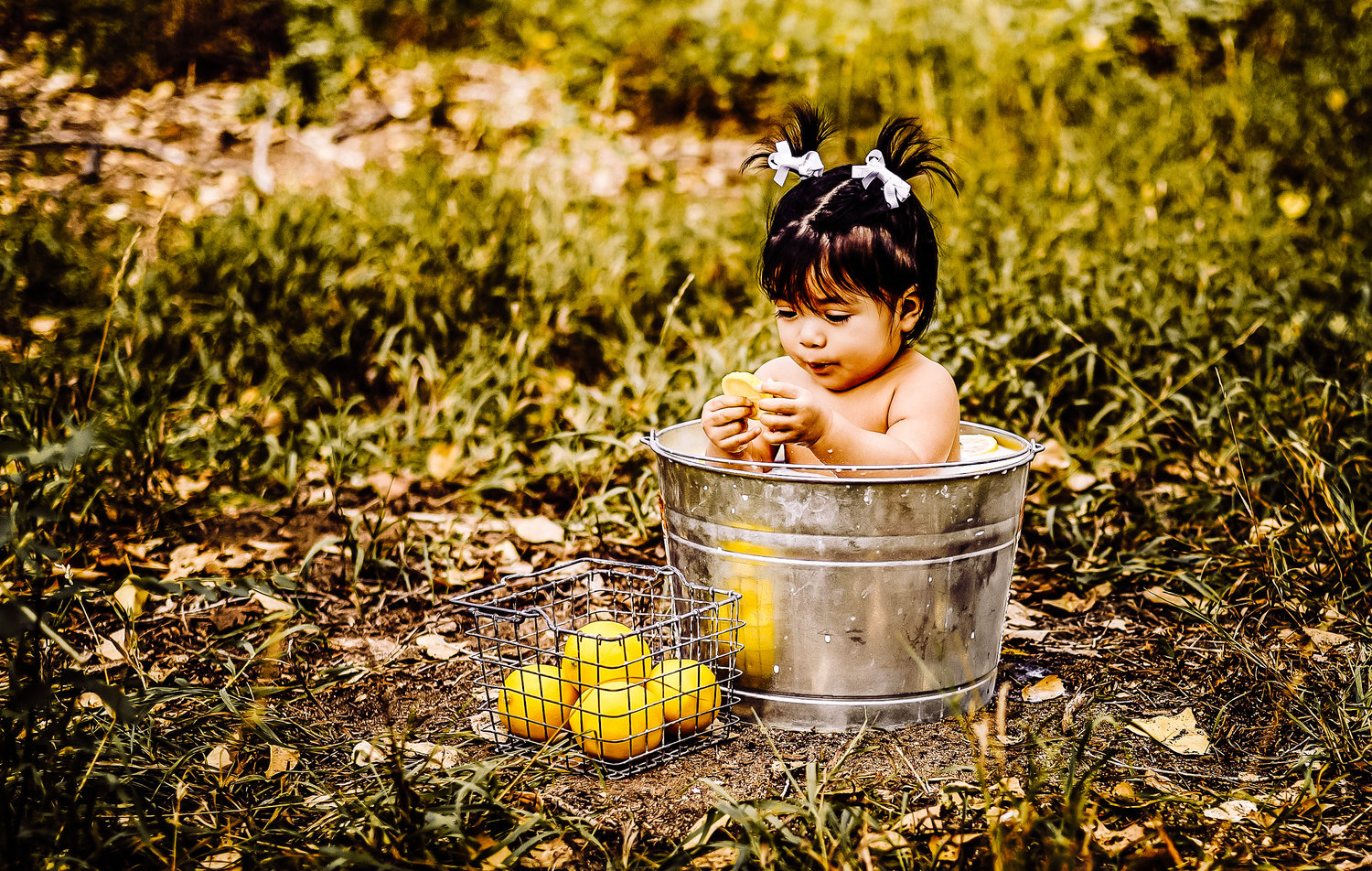 Paula Kramer Art | Photography in Colorado Springs