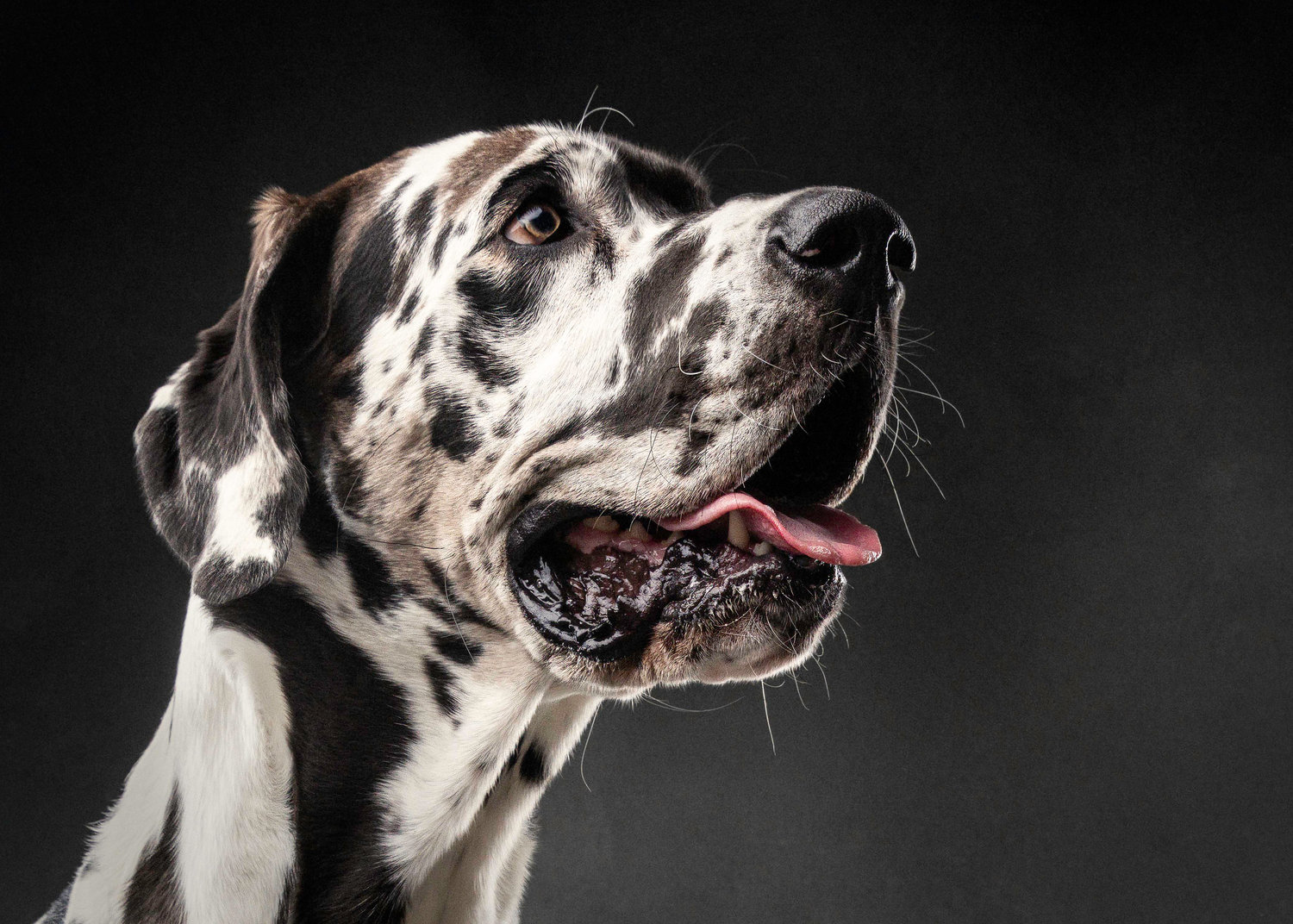 Tim Reiter Photography