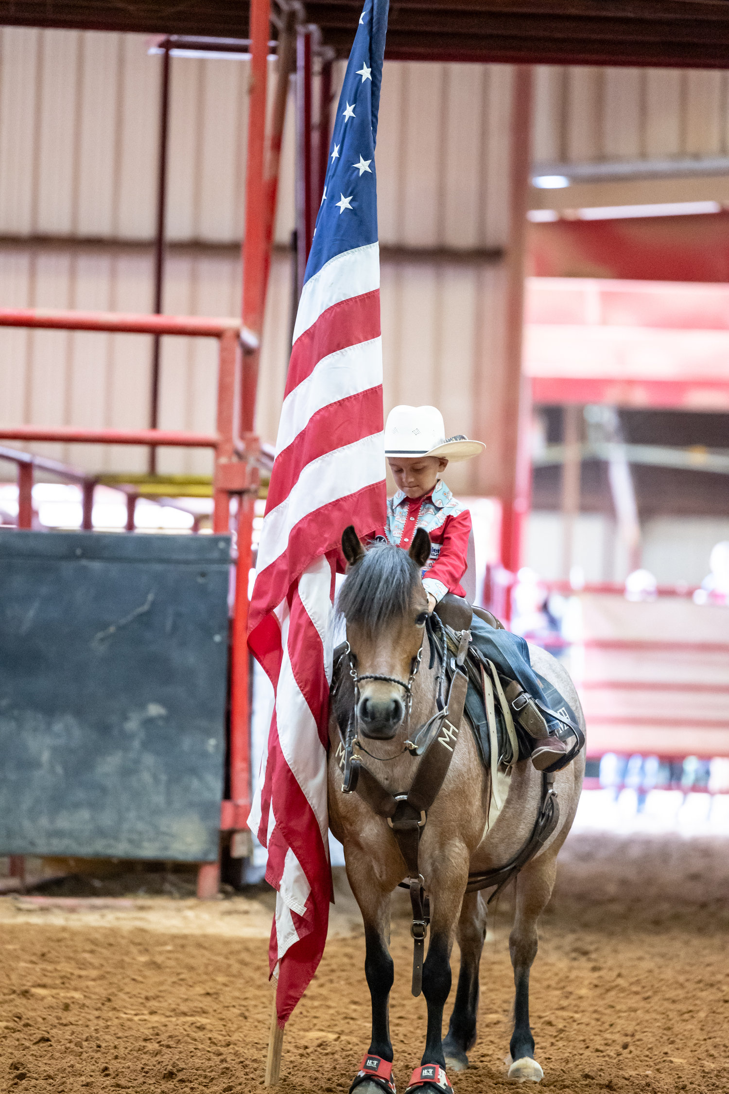 rodeo - Constable Equine Photography