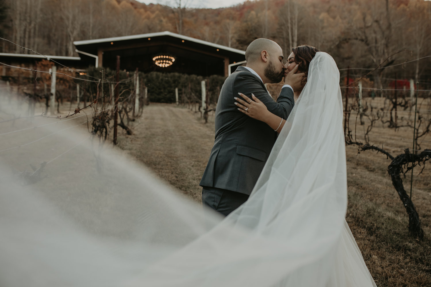 Allison White Photography