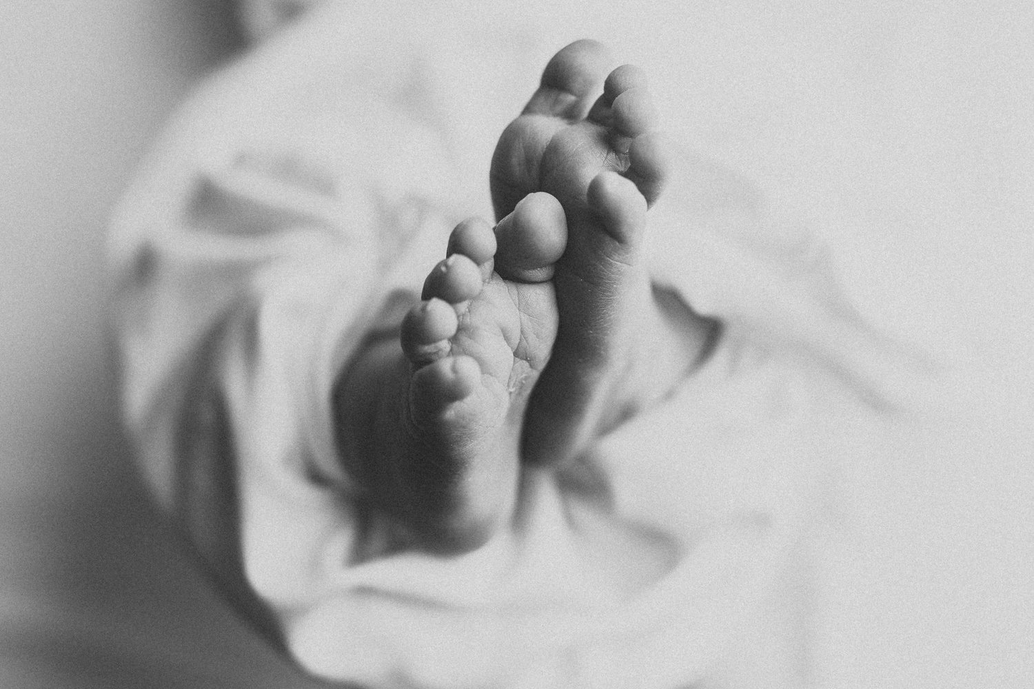 Andi Allen Photography