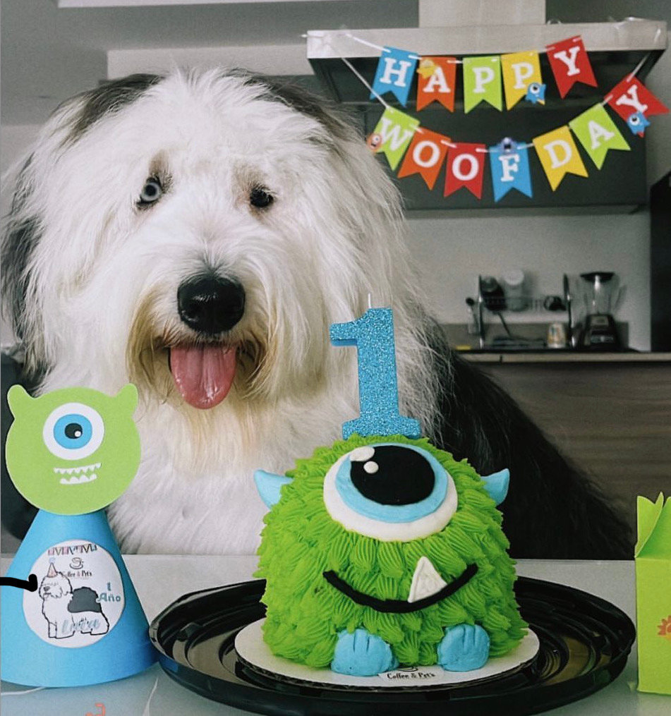 Smash Cake - Coffee and Pet's