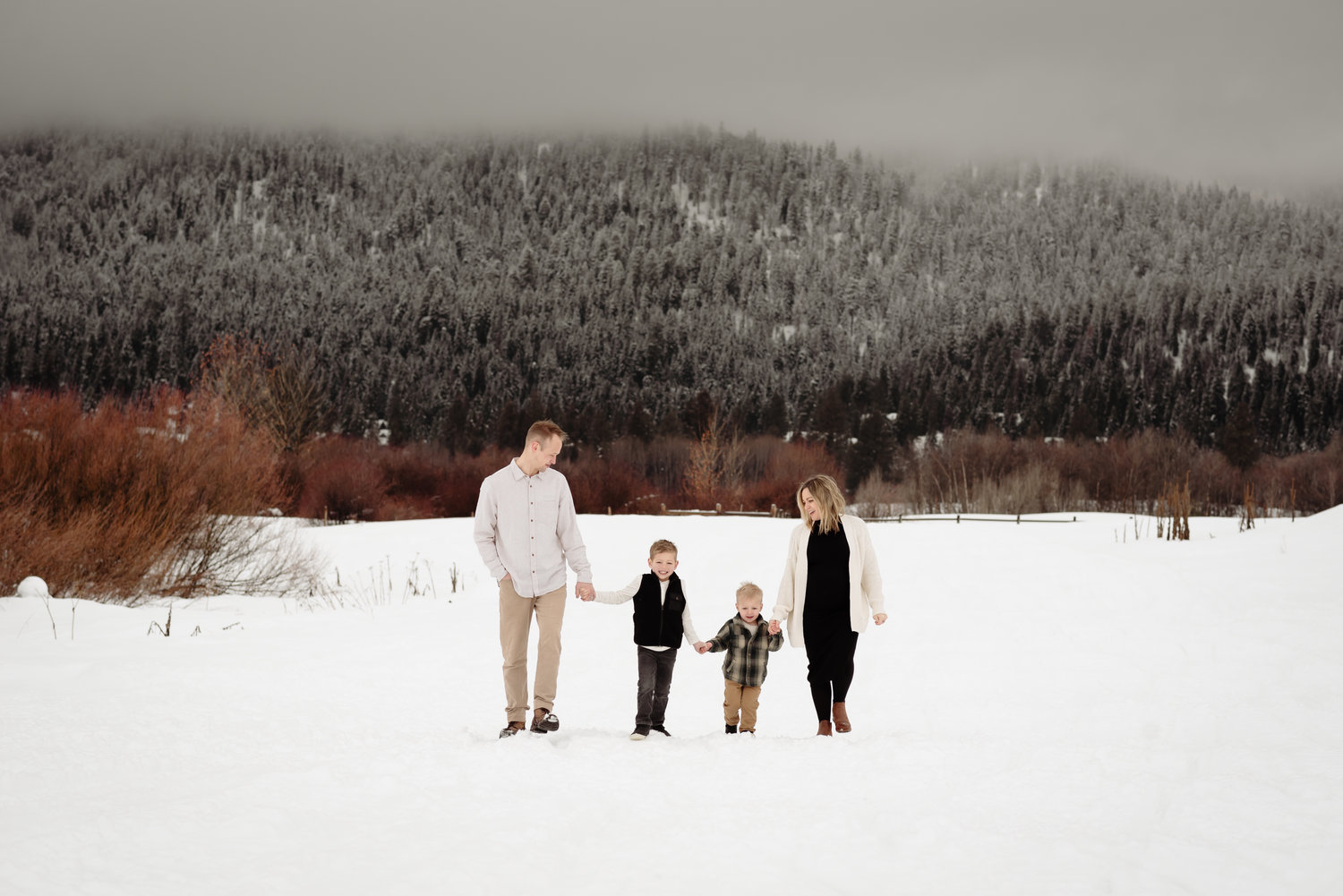 Portfolio - Amber Coyle Photography