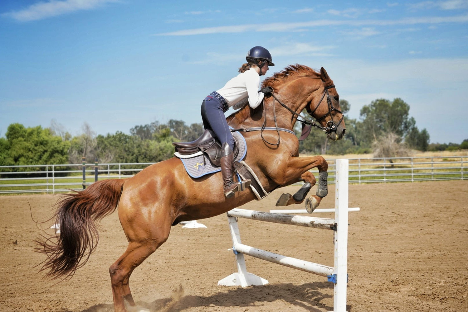 Equestrian Photography - Ronnie James Photography