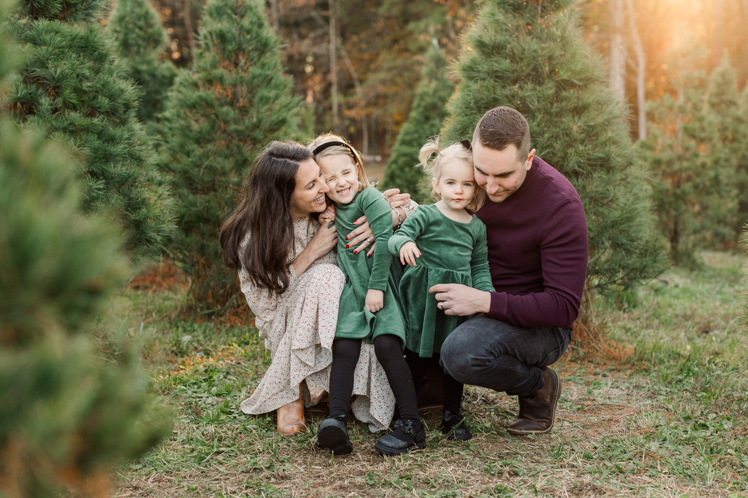Christmas Tree Mini Sessions - Family Photographer Near Me | Bloom ...