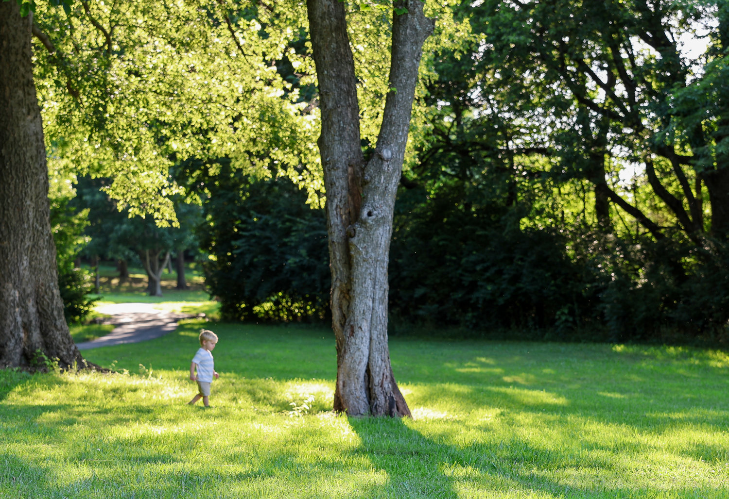 JOING VIP GROUP - Ashley Wright Photography