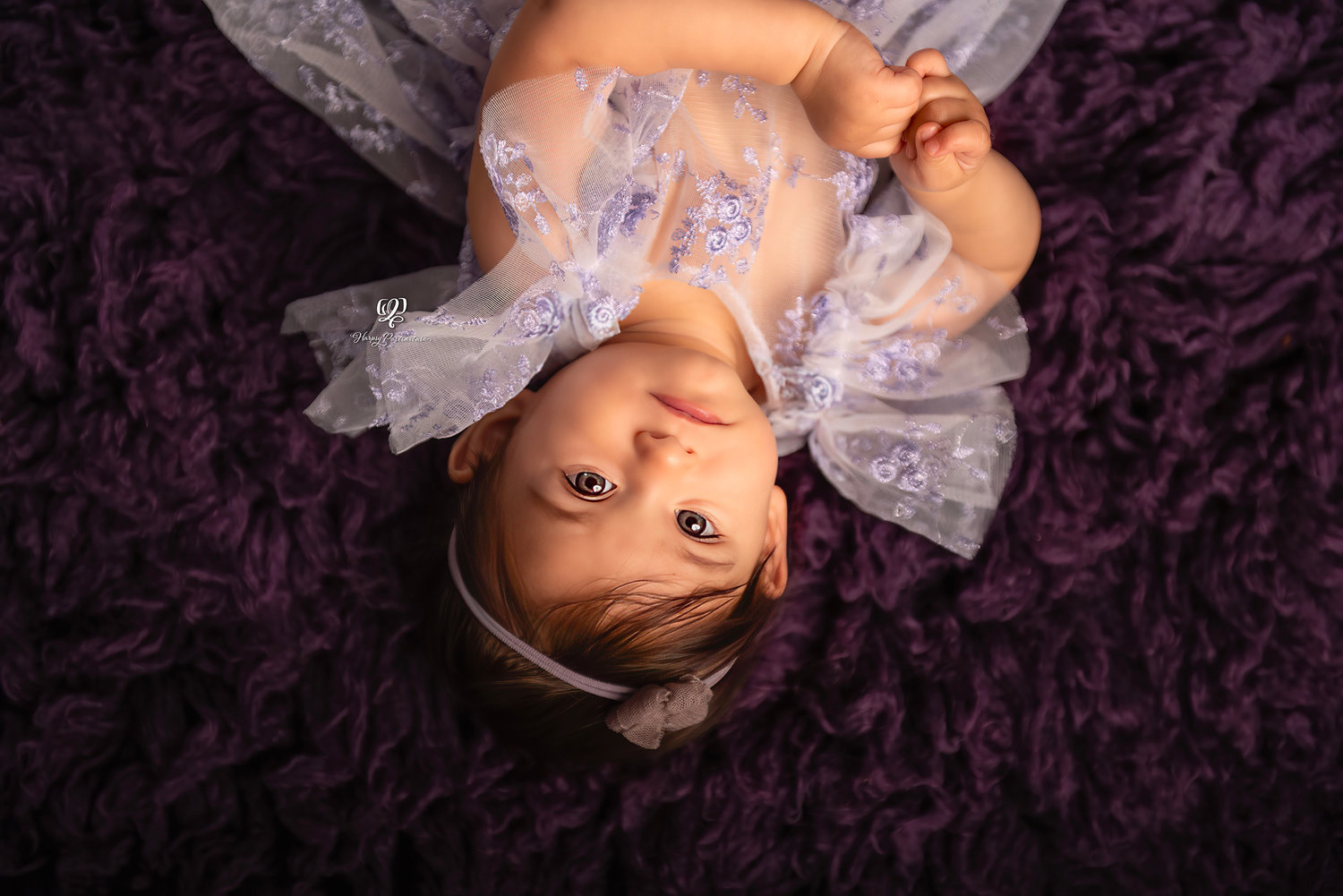 Sitter Photography - Harpsy Portraiture