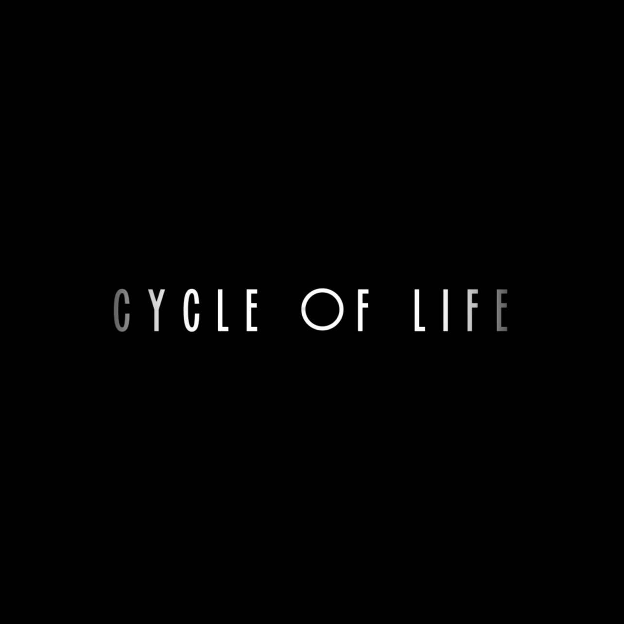 Cycle of Life - Catch Release Entertainment