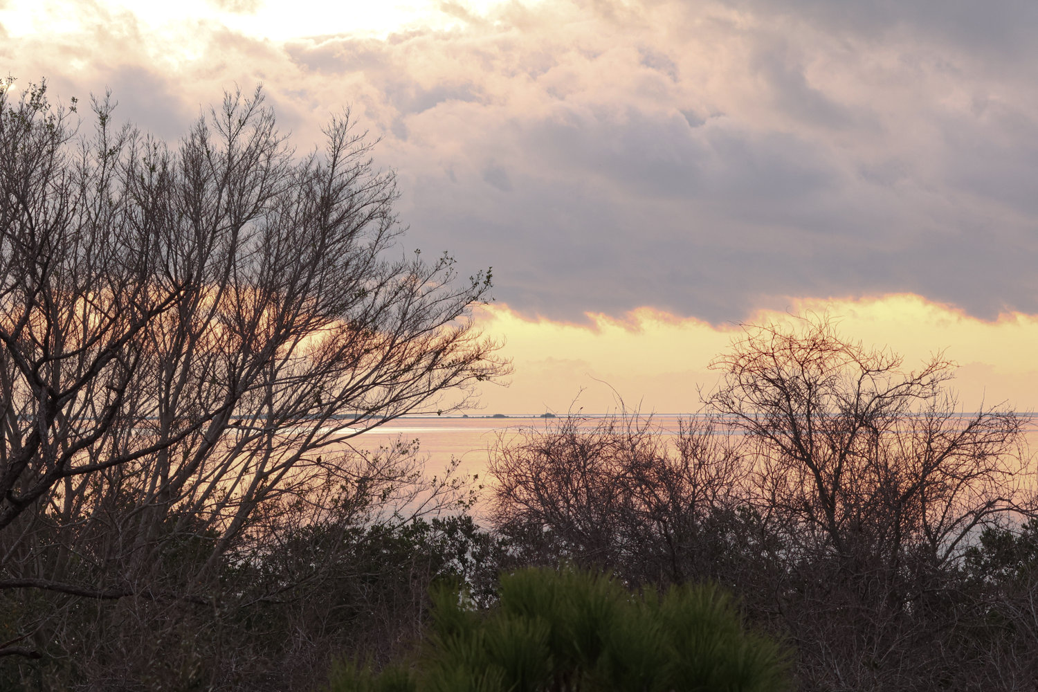 New Port Richey Nature Photography - Heather Hathaway Photography LLC