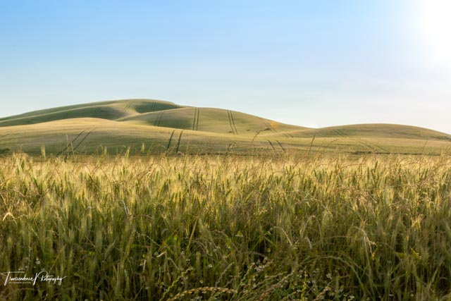 Landscapes - Transcendence Photography