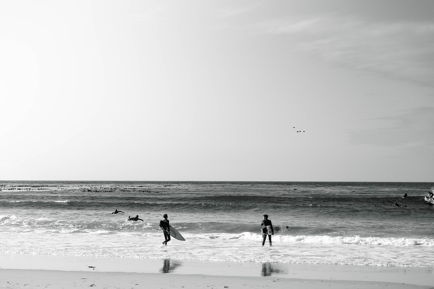 Portfolio - Josh Chisholm