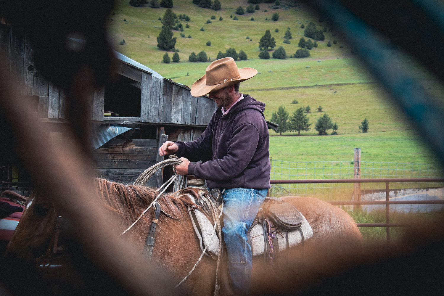 Ranch Brands - Cowhand Captures