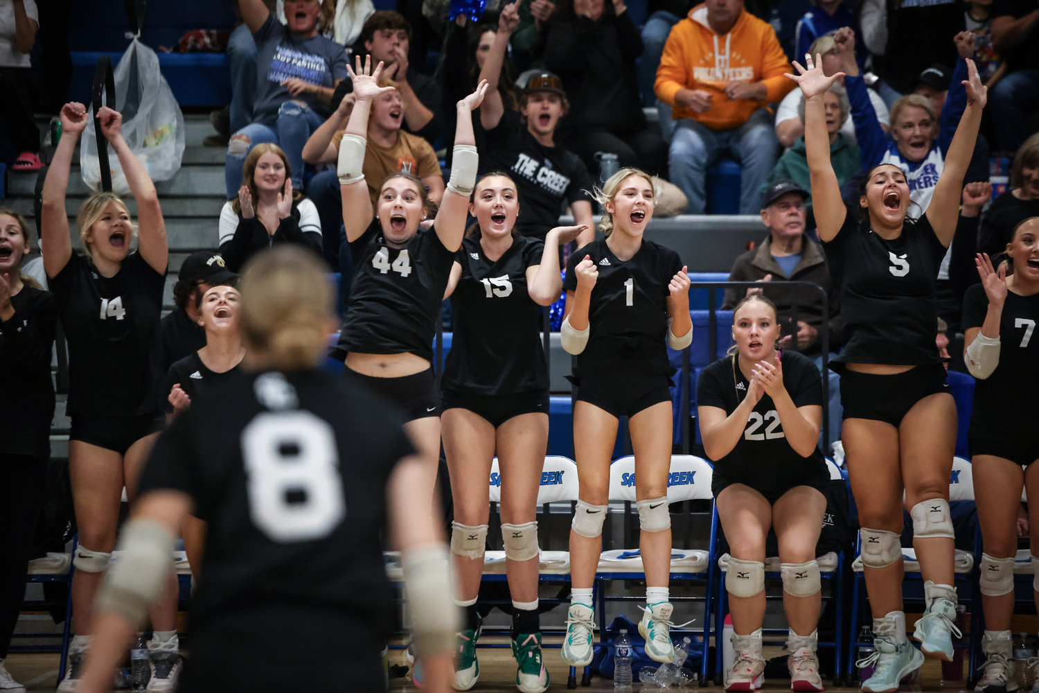 Action Photography - stealphoto