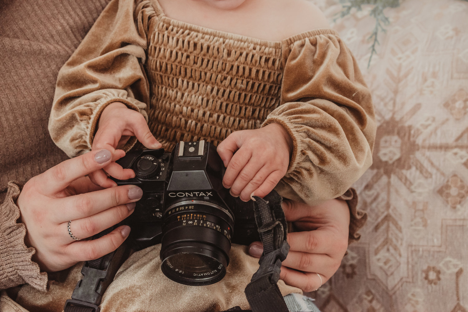 Contact - Sierra Kurth Photography