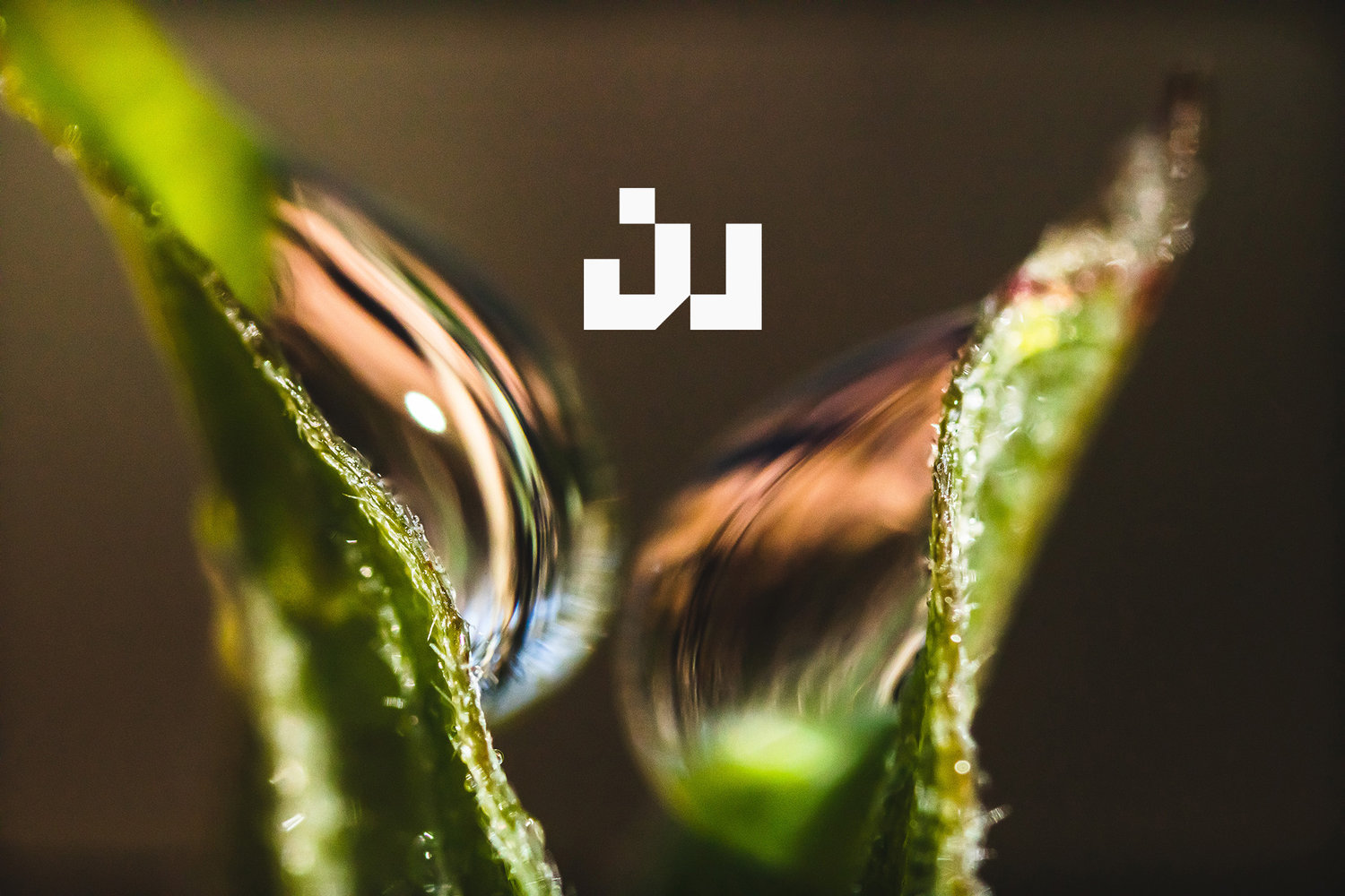 Josh Woll | Video Production, Photography & Mentorship