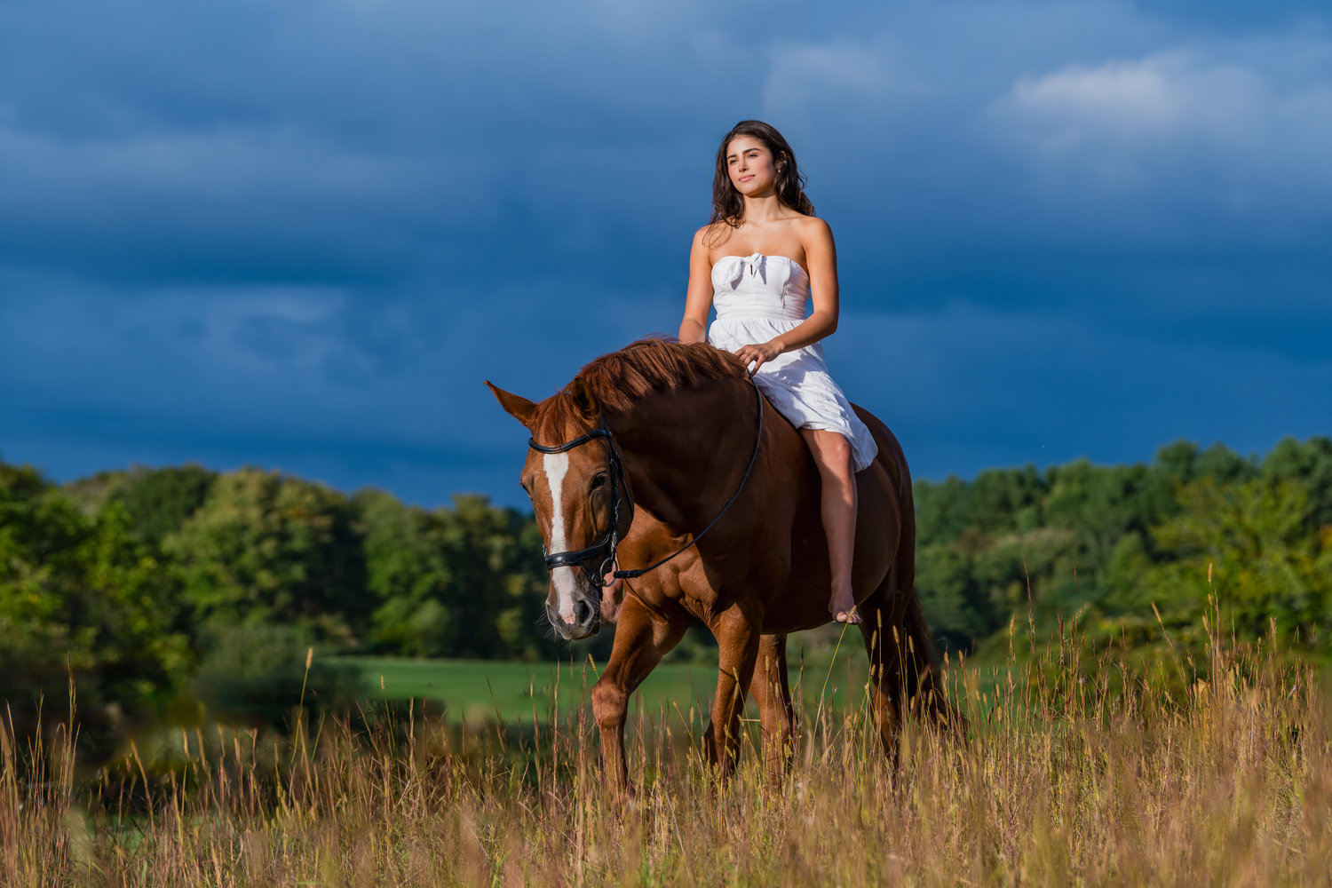 Equine Photographer Rhode Island | Horses & Rider Portraits