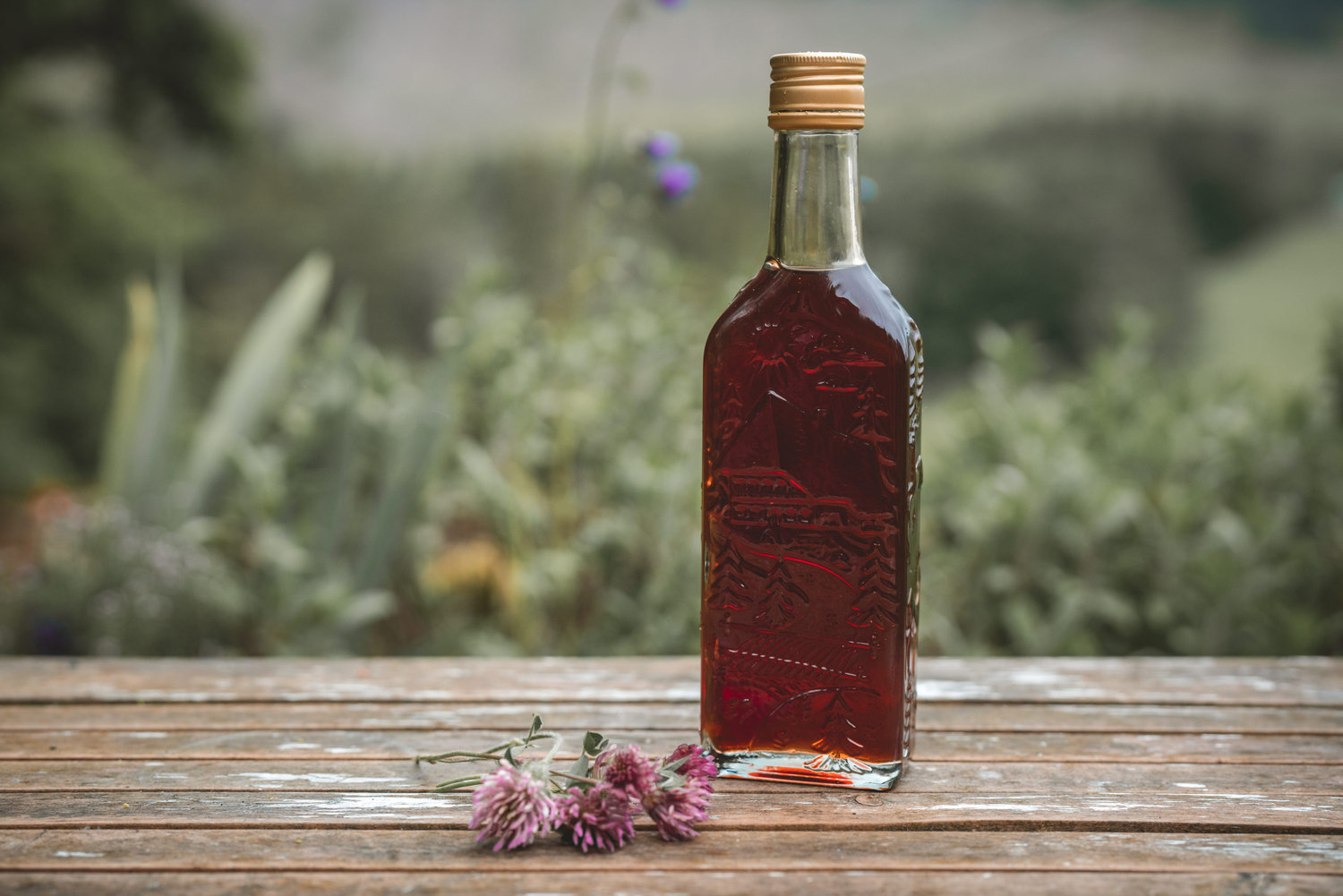 Recipes: Basic Syrup Method - The Grizzly Forager: The Definitive Guide ...