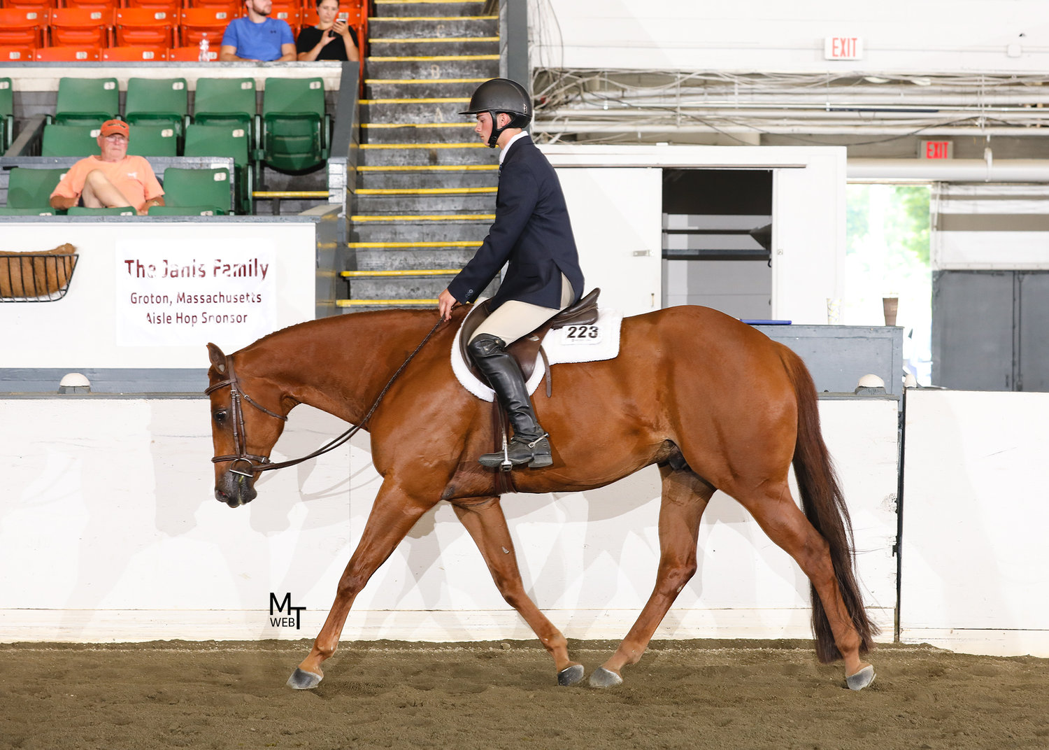 Horse Show Photography - Miranda Taylor Photography