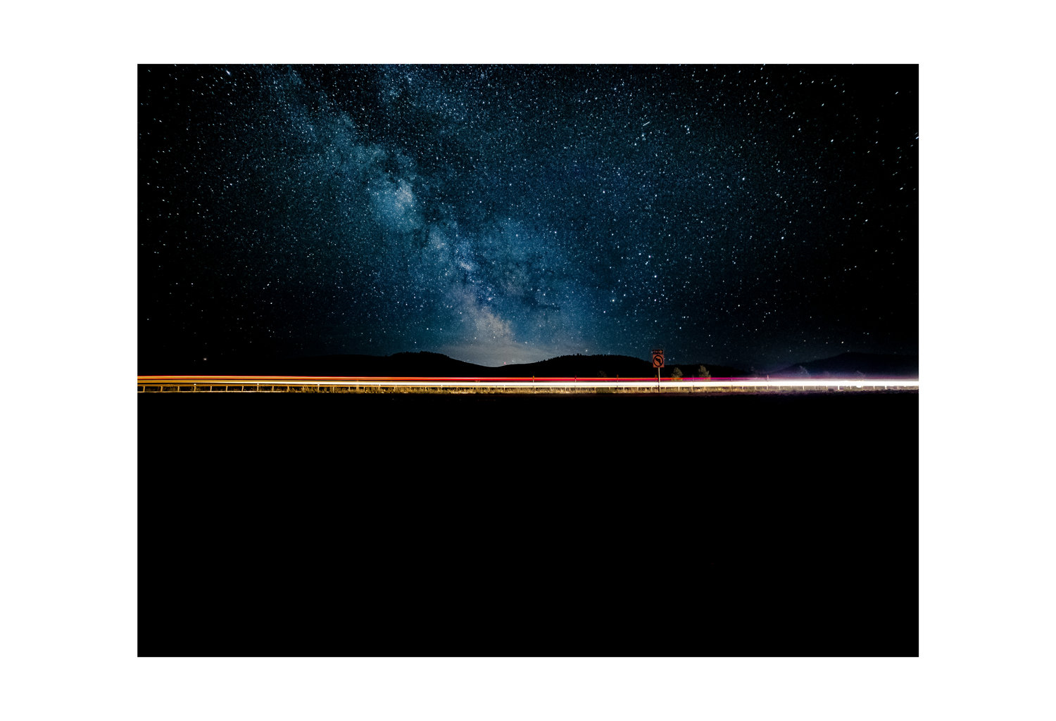 Portfolio - Wild Lens