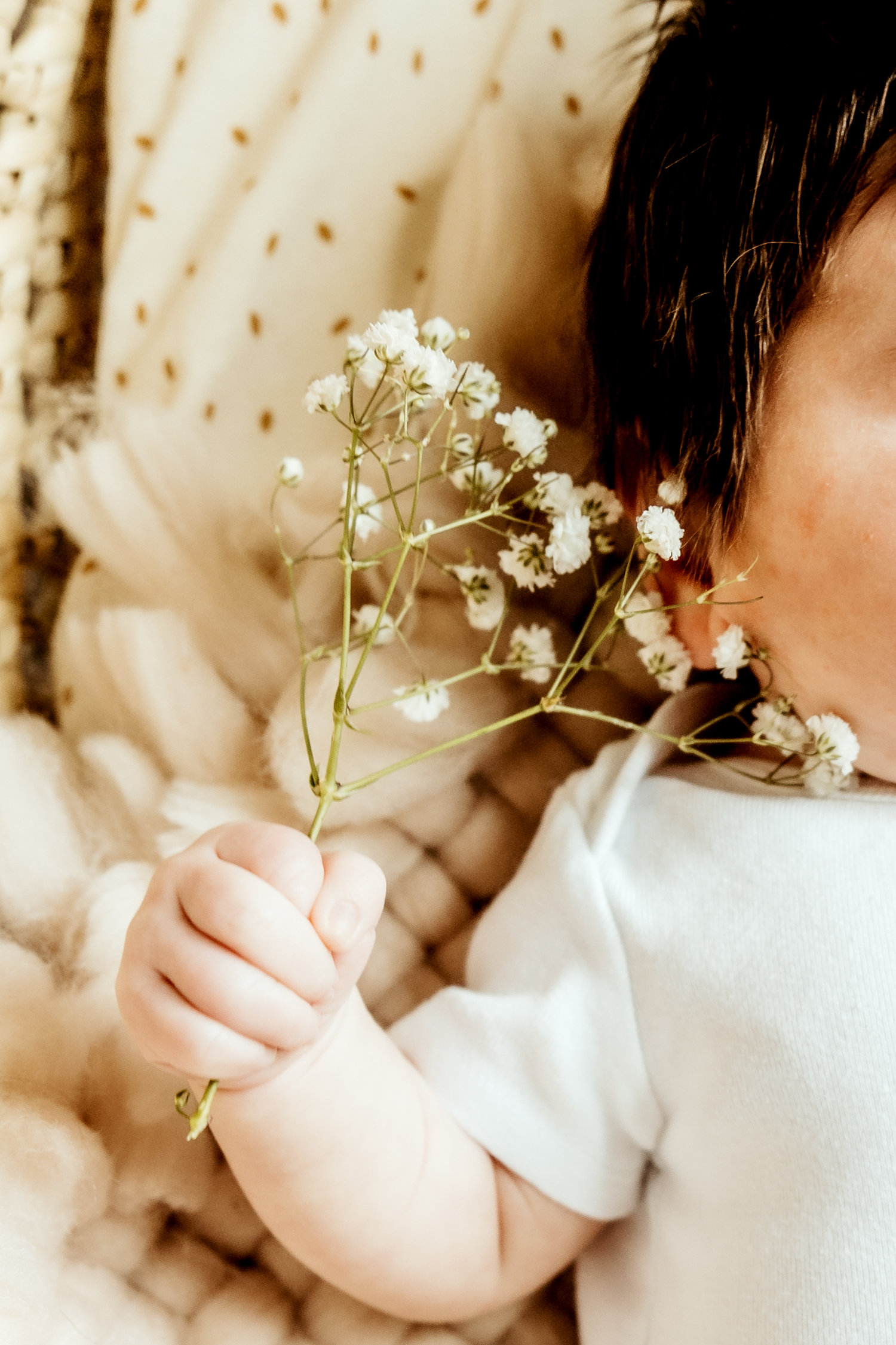 MATERNITY + NEWBORN - Kristen Ferry Photography - Rhode Island + Beyond
