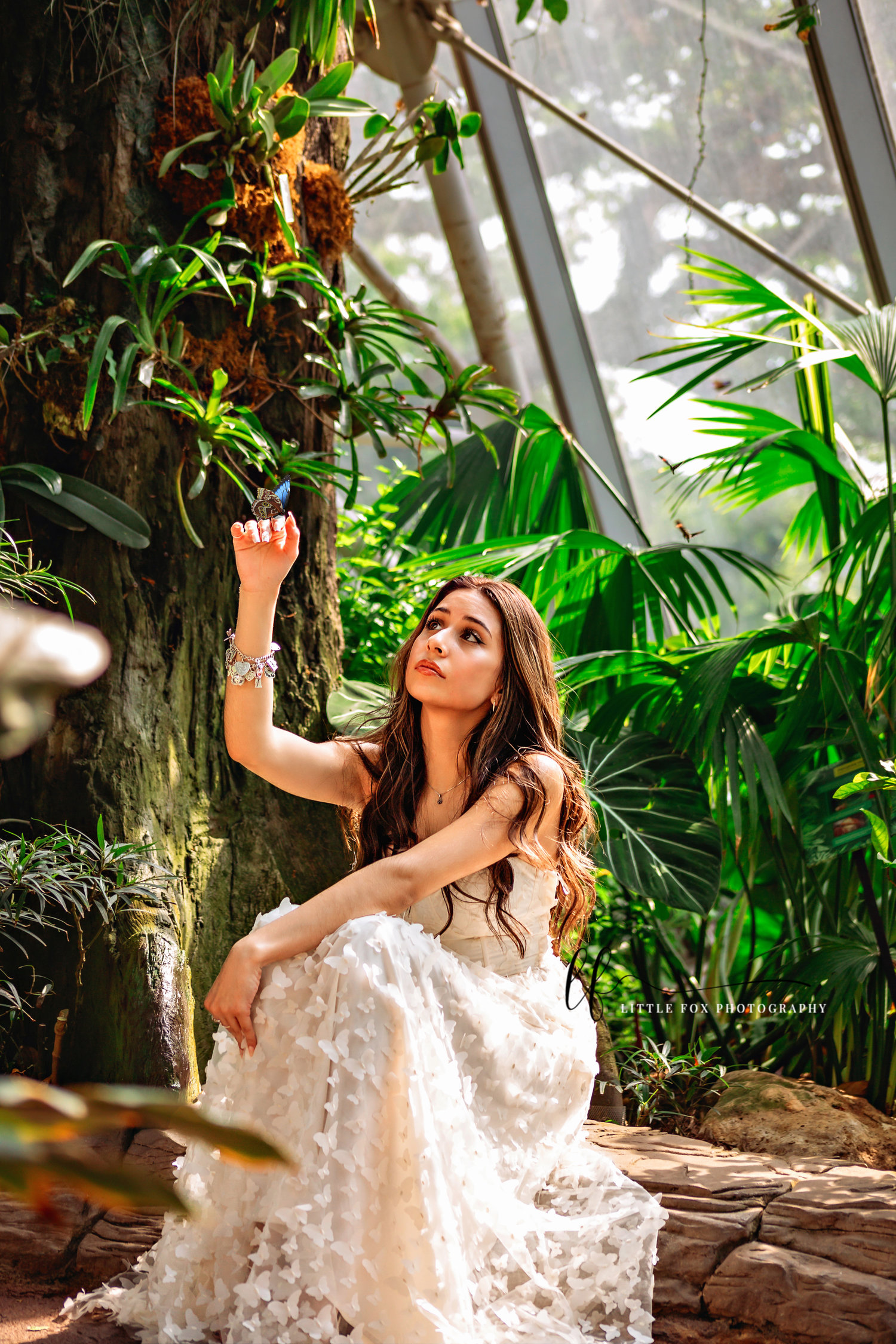 Senior Rep Program - Little Fox Photography- Houston Portrait & Wedding ...