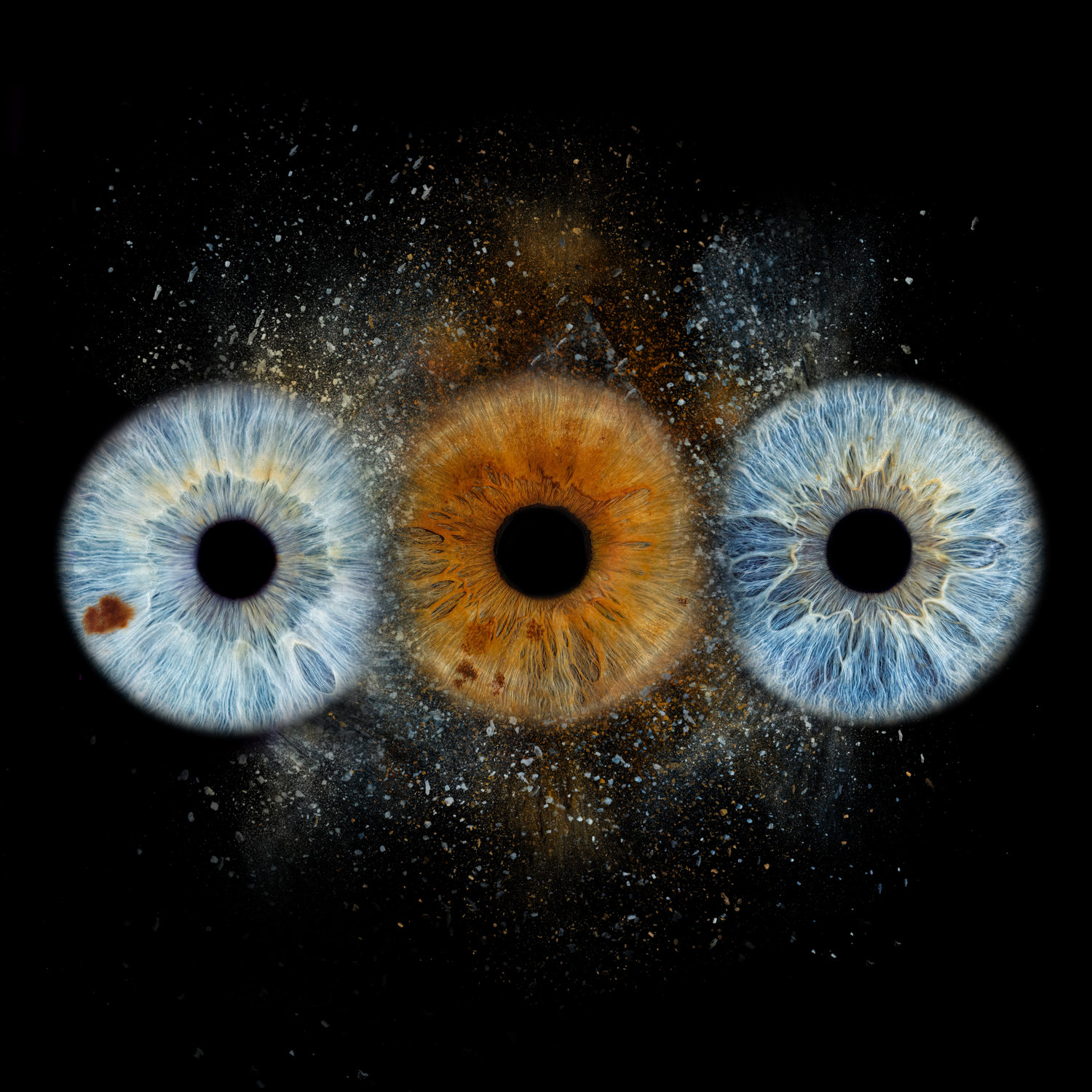 Iris Galleries - Utah Iris Photographer