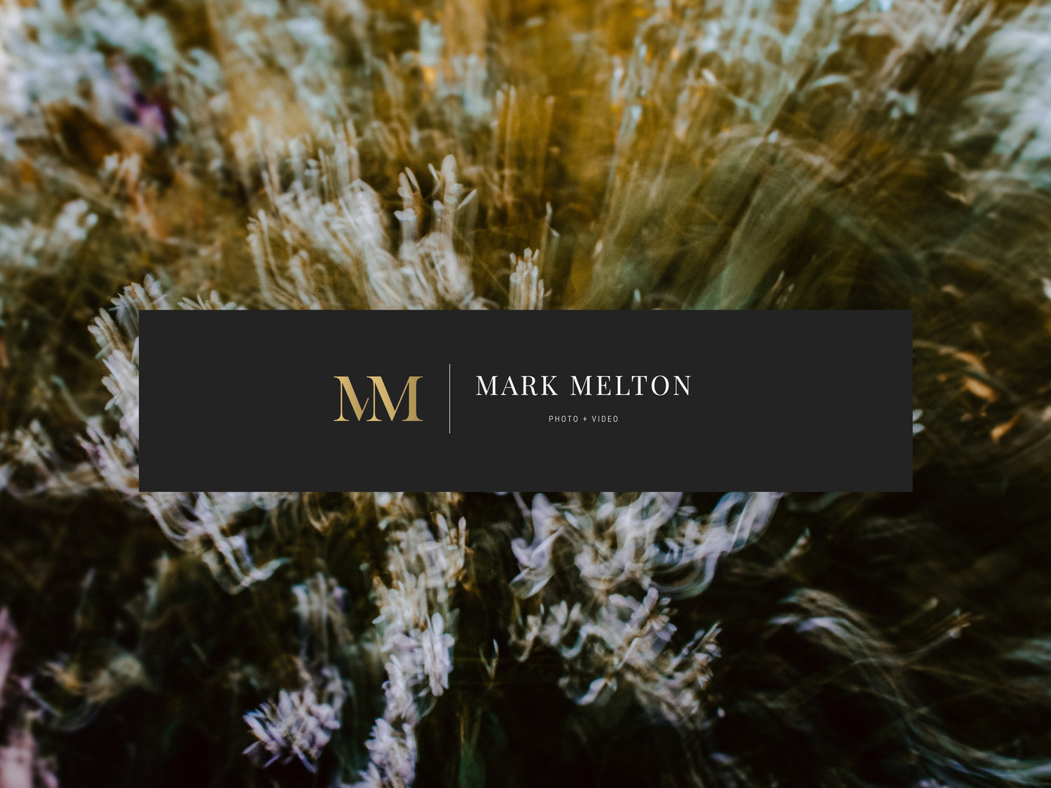 Mark Melton | Photo + Video